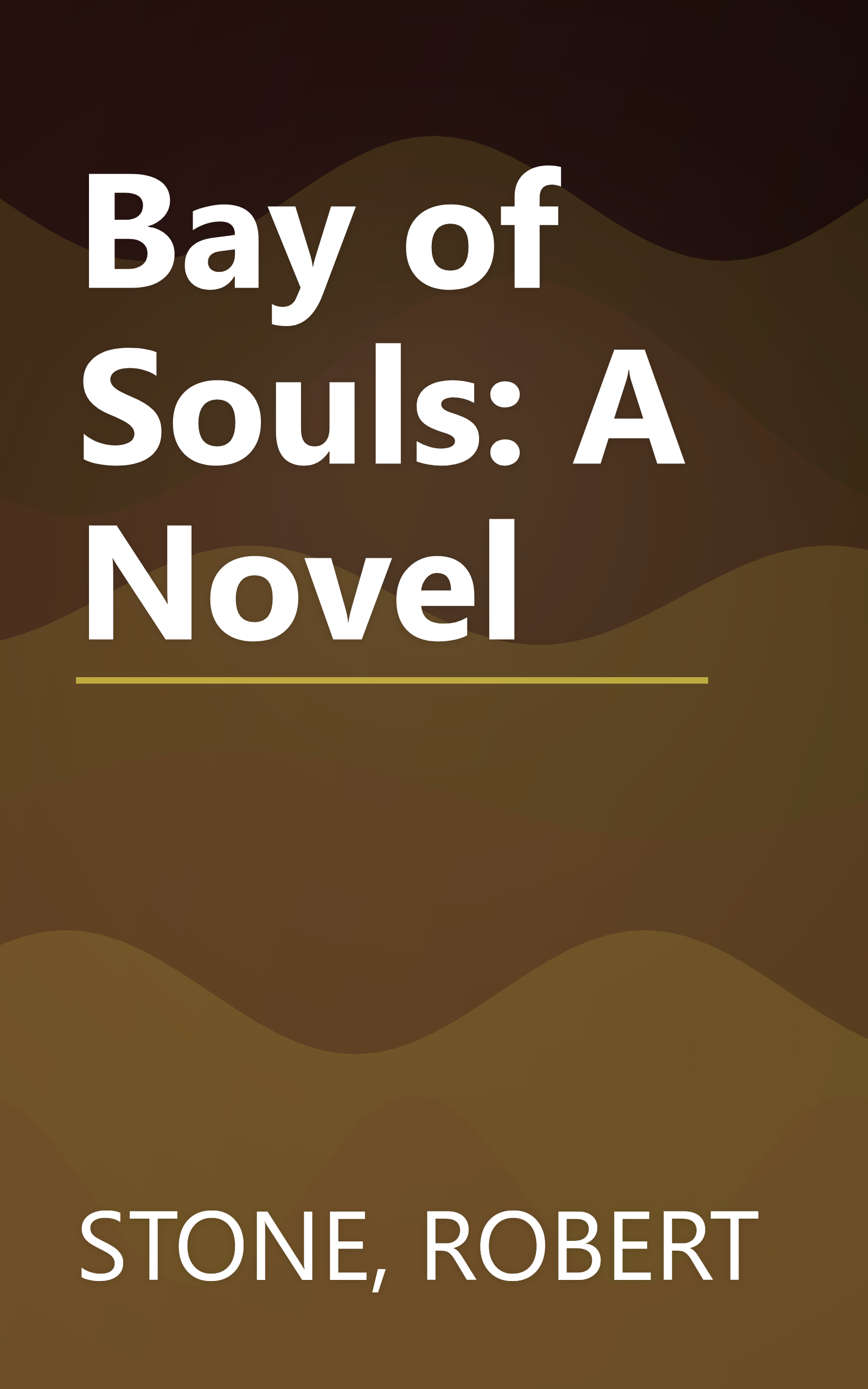 Bay of Souls: A Novel book cover