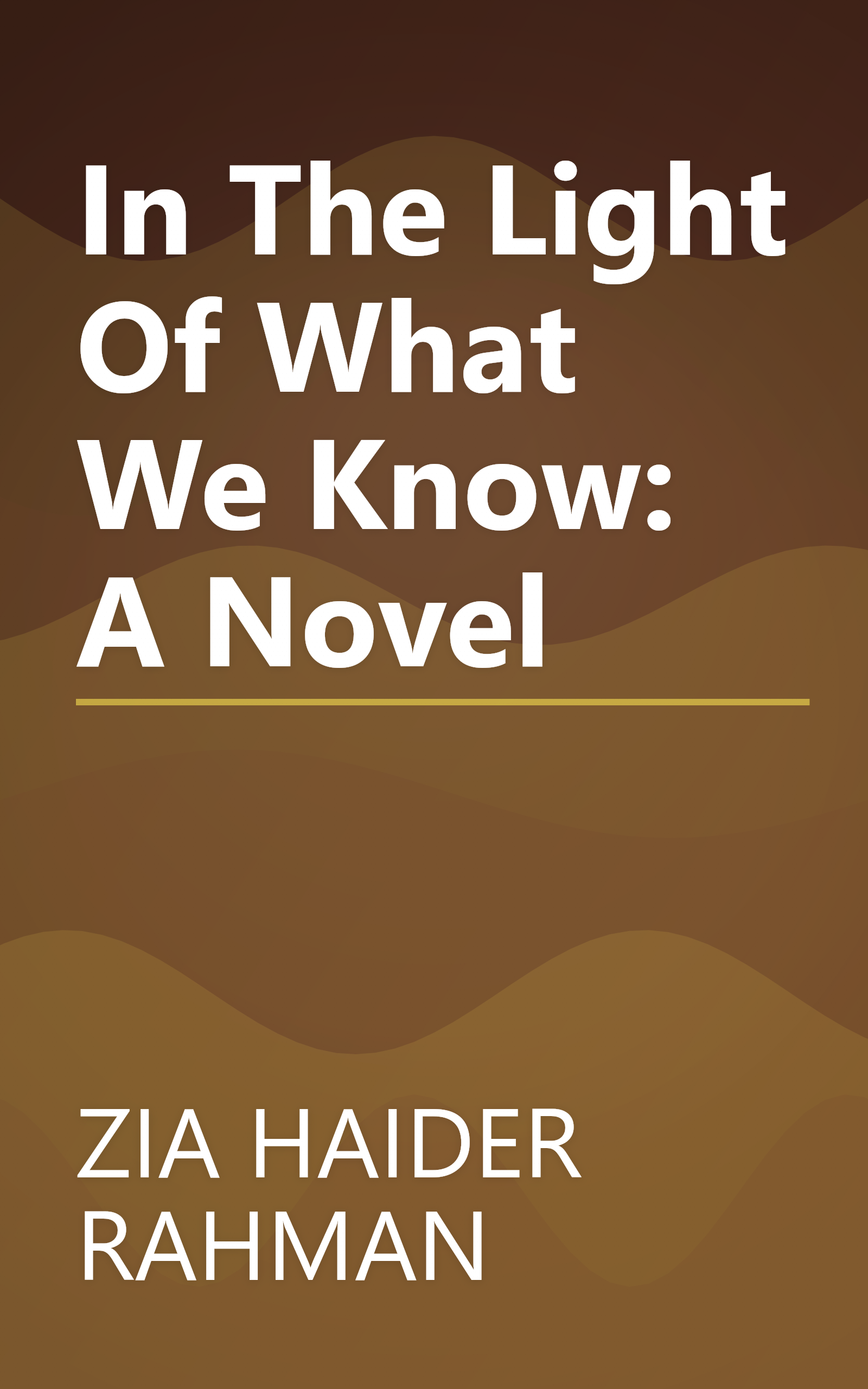 In The Light Of What We Know: A Novel book cover