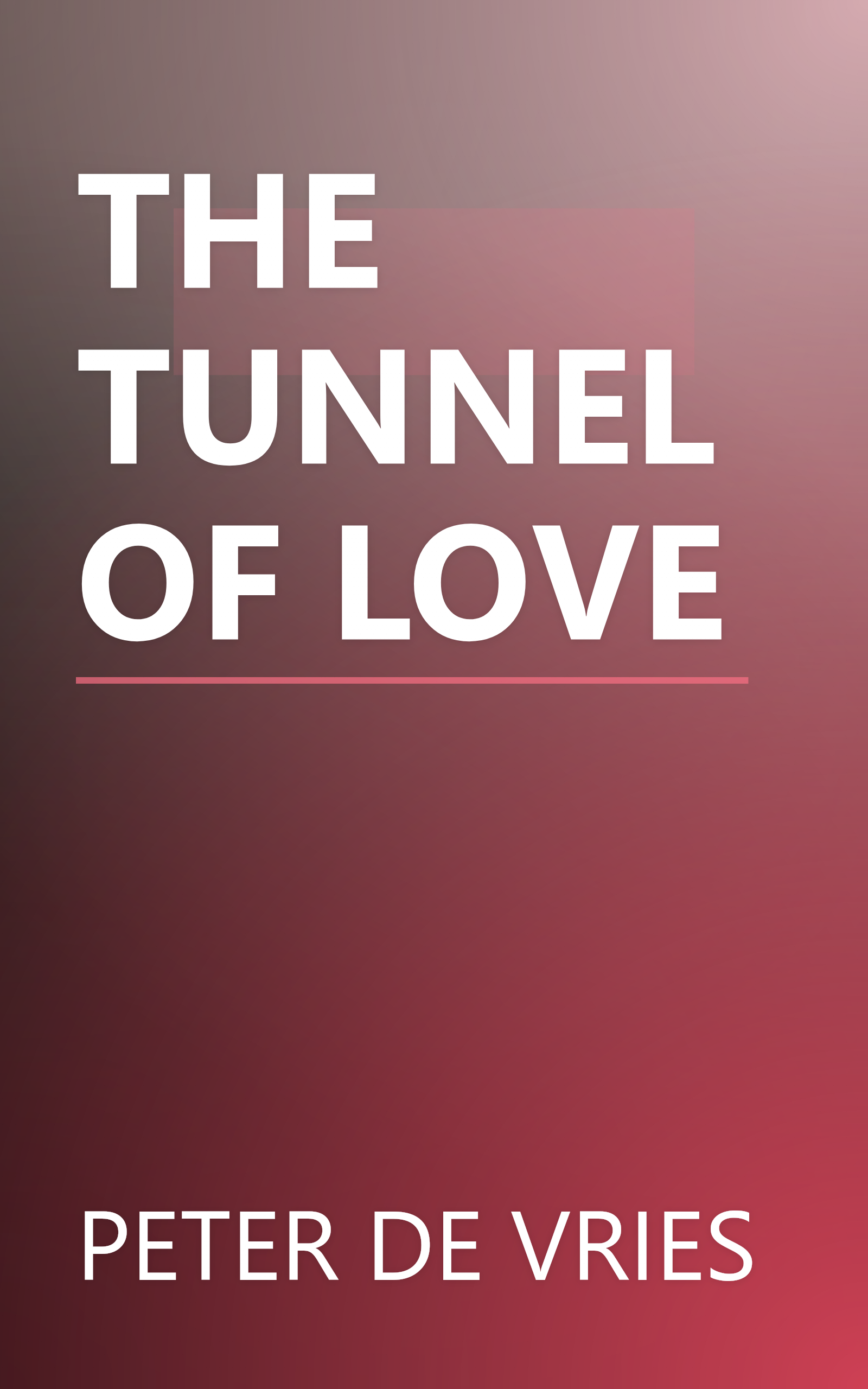 THE TUNNEL OF LOVE book cover