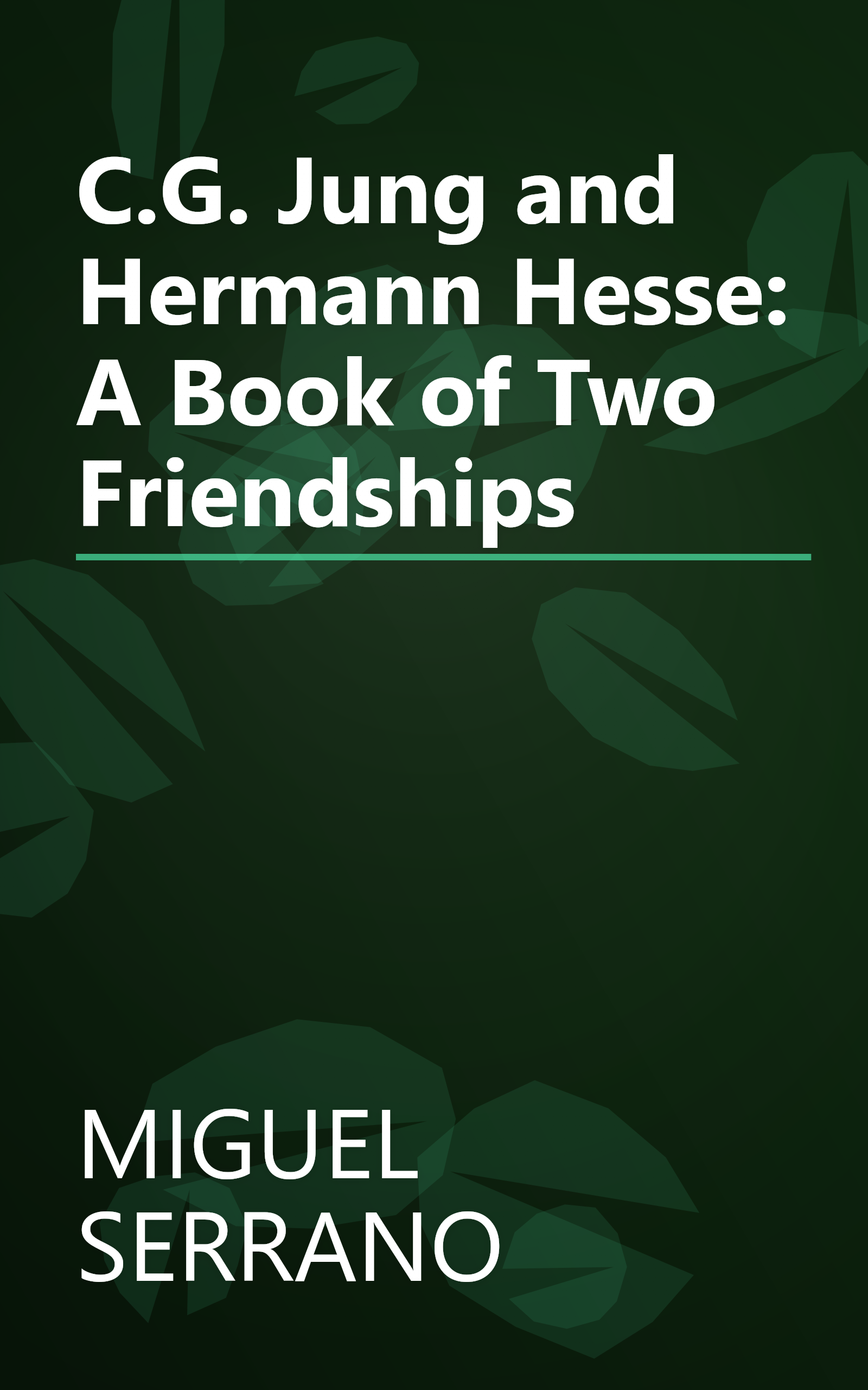 C.G. Jung and Hermann Hesse: A Book of Two Friendships book cover