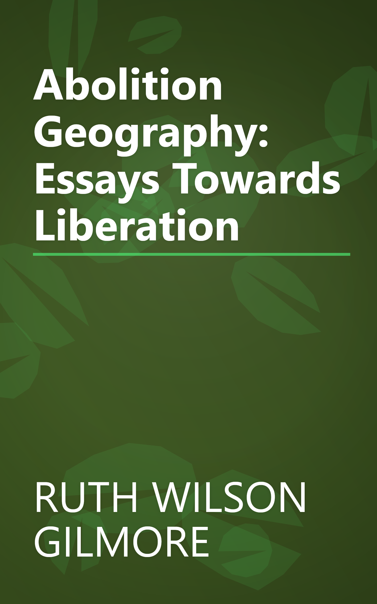 Abolition Geography: Essays Towards Liberation book cover
