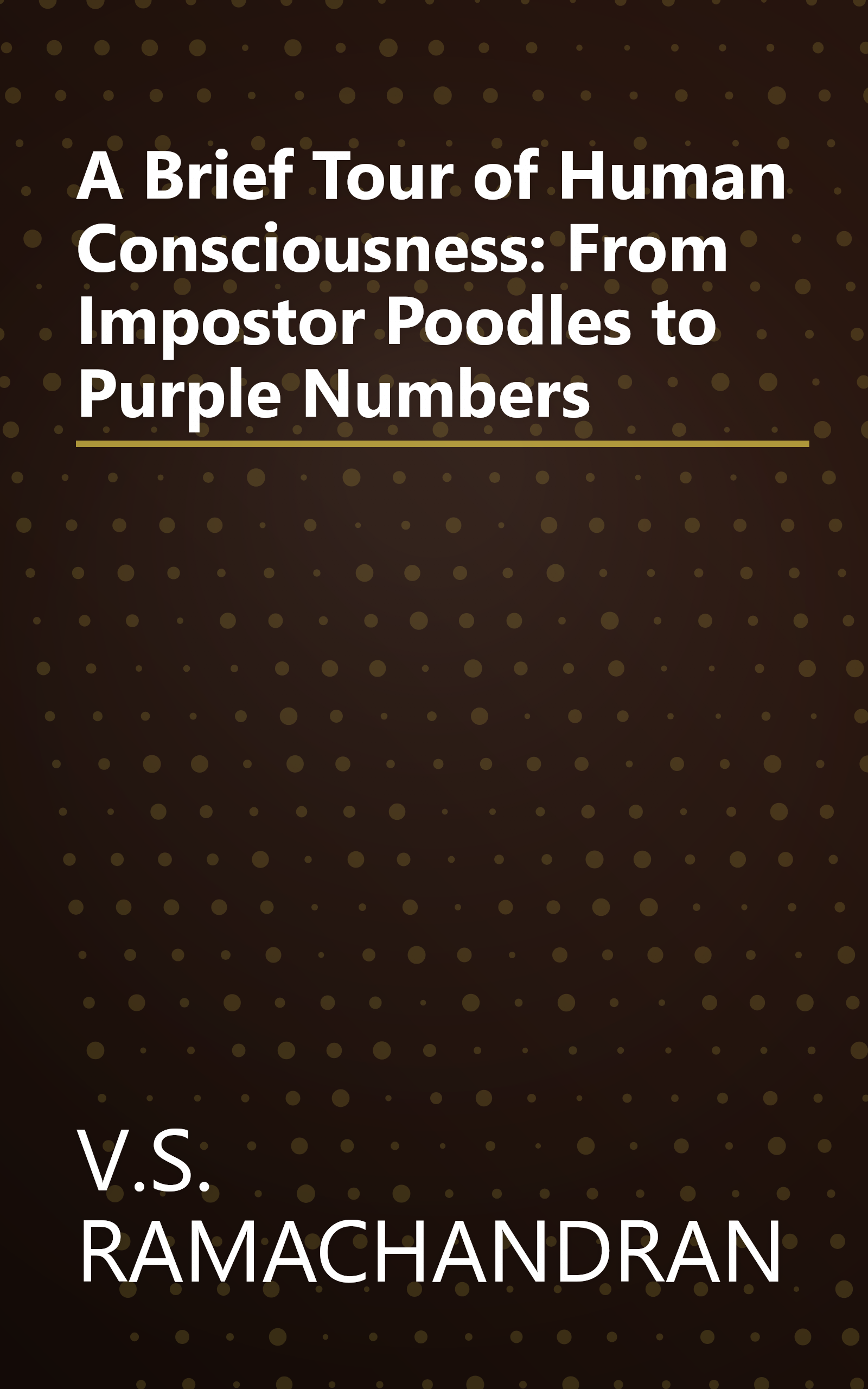 A Brief Tour of Human Consciousness: From Impostor Poodles to Purple Numbers book cover