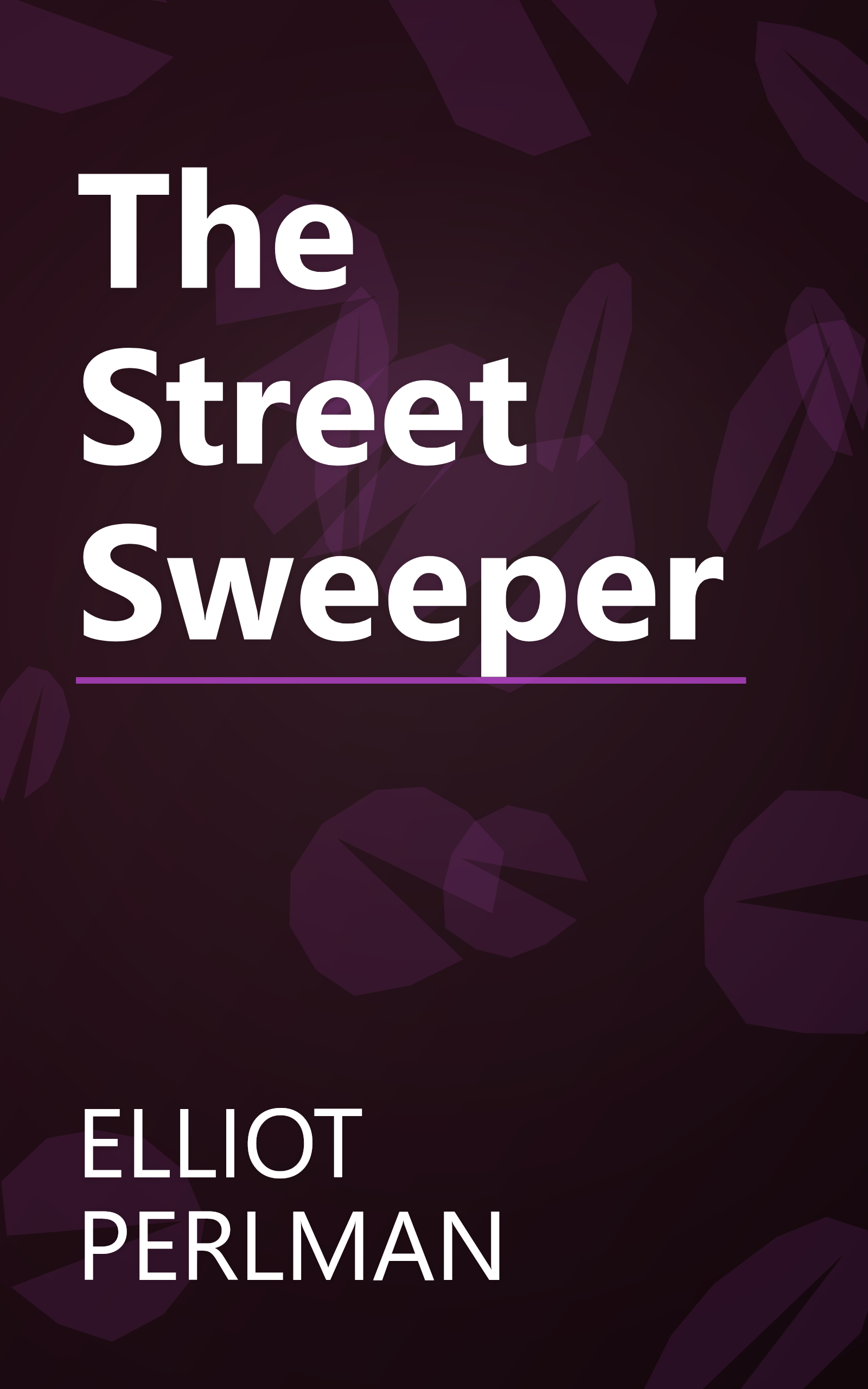 The Street Sweeper book cover