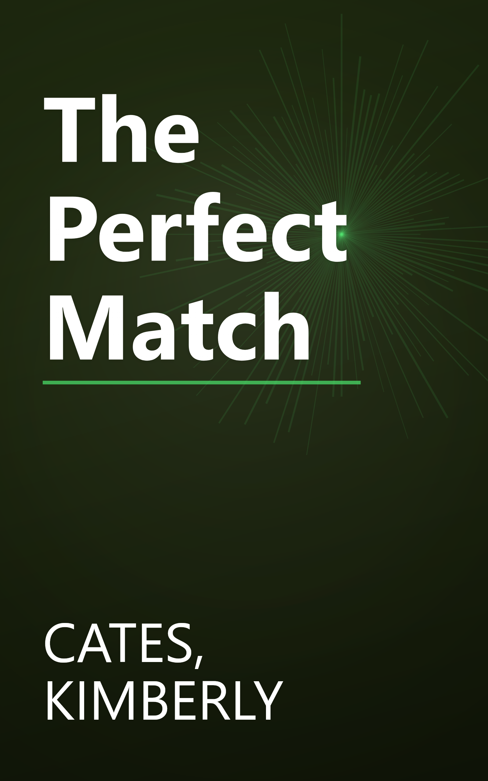 The Perfect Match book cover