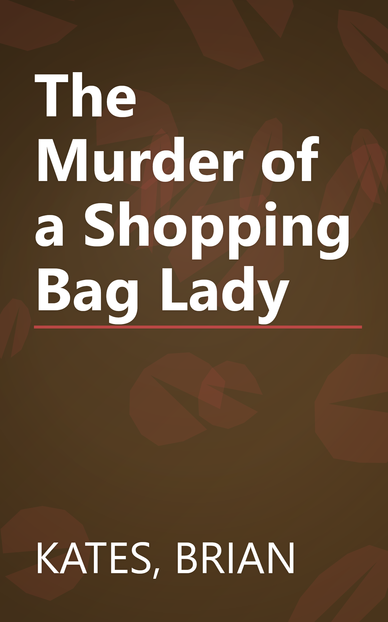 The Murder of a Shopping Bag Lady book cover