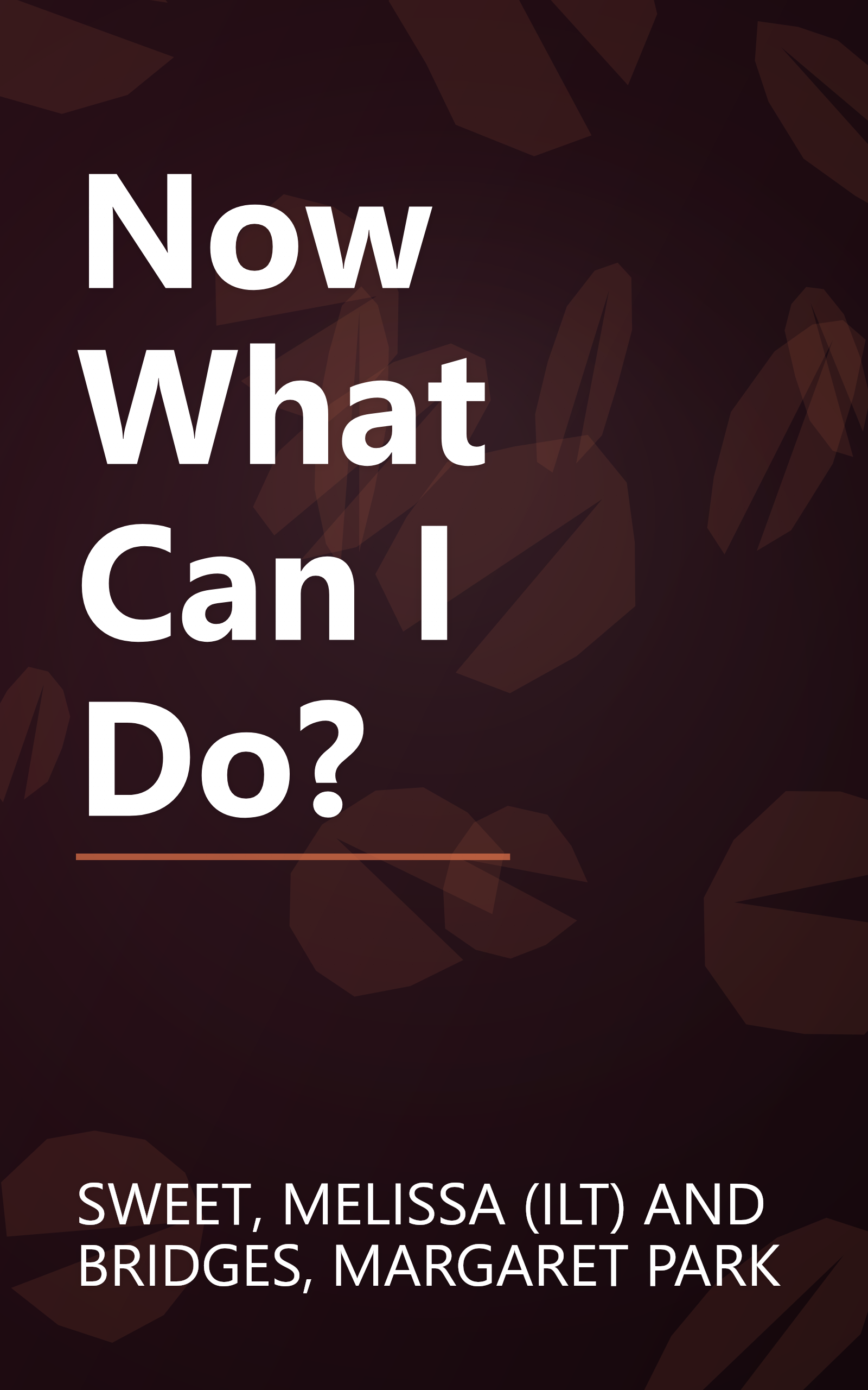 Now What Can I Do? book cover