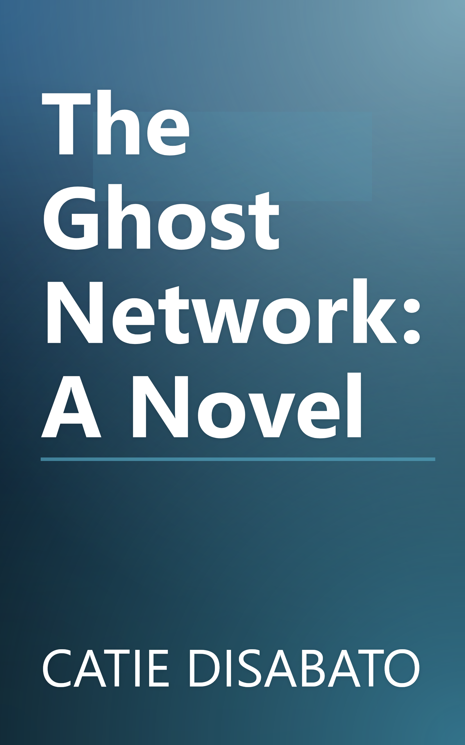 The Ghost Network: A Novel book cover