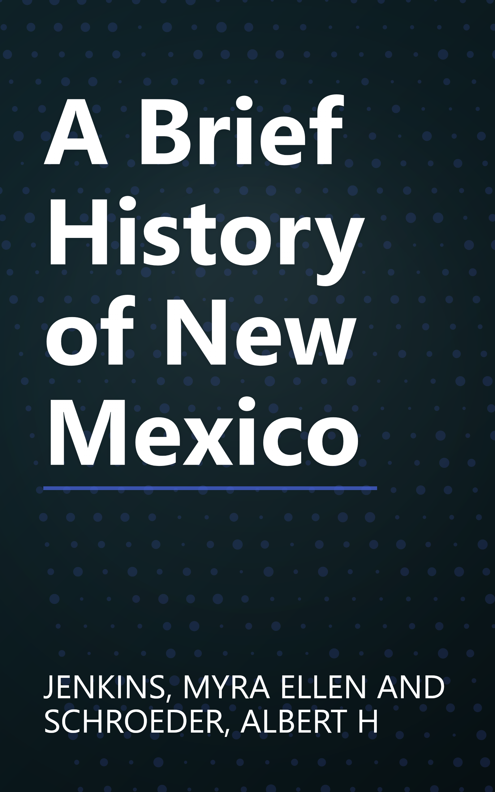 A Brief History of New Mexico book cover