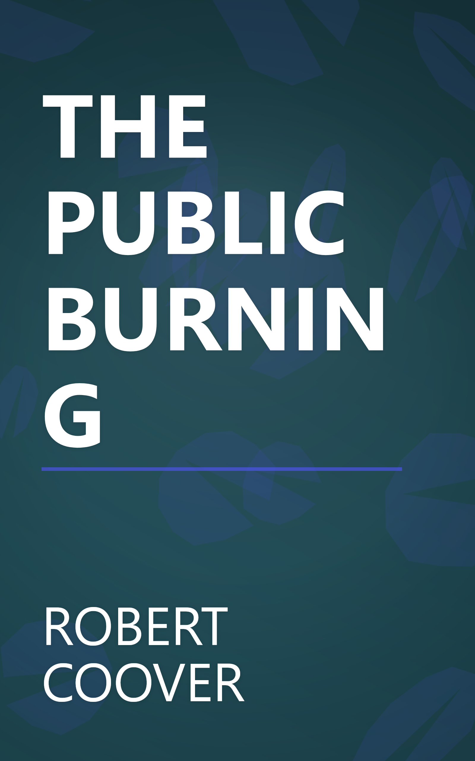 THE PUBLIC BURNING book cover