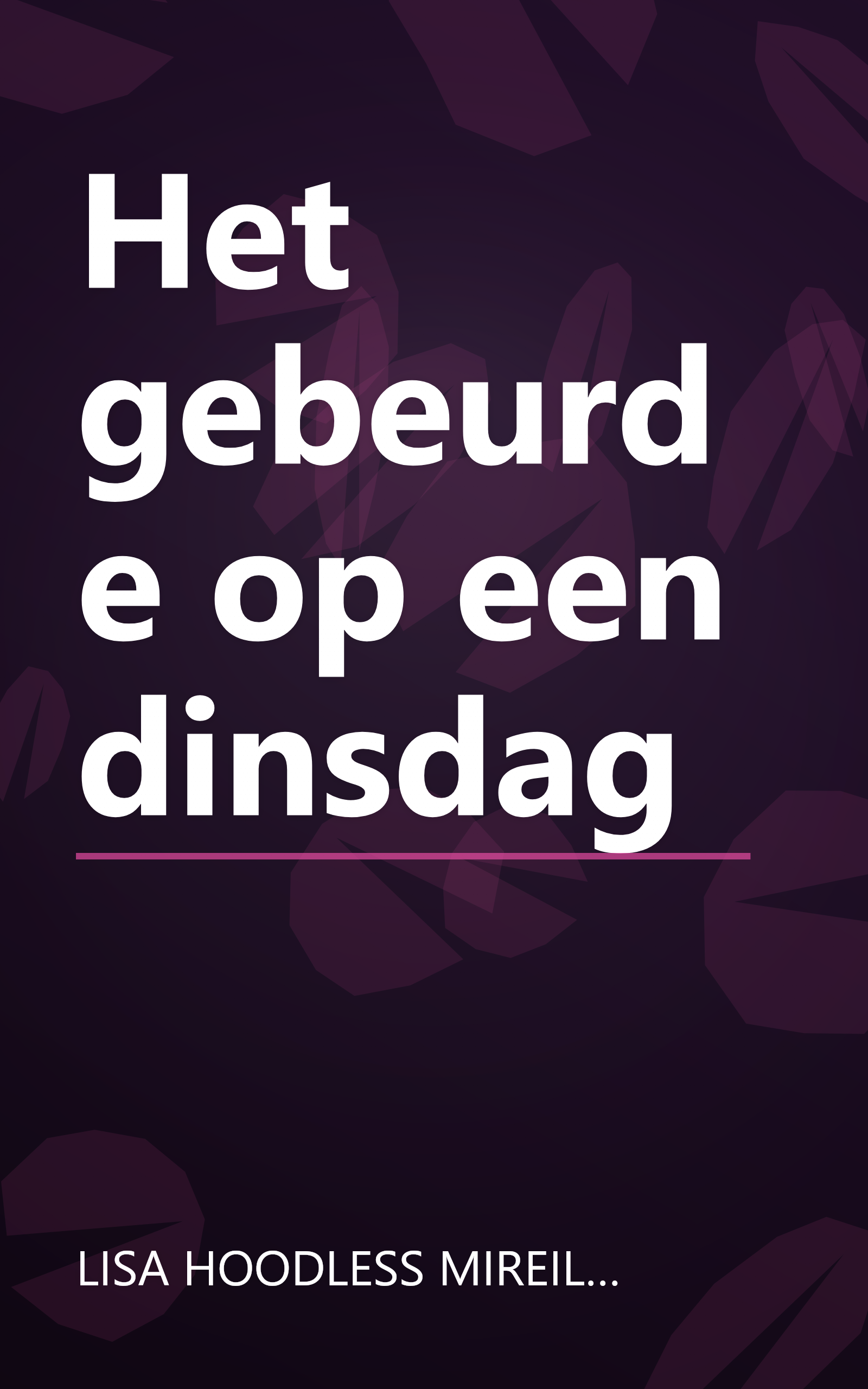 Het gebeurde op een dinsdag book cover
