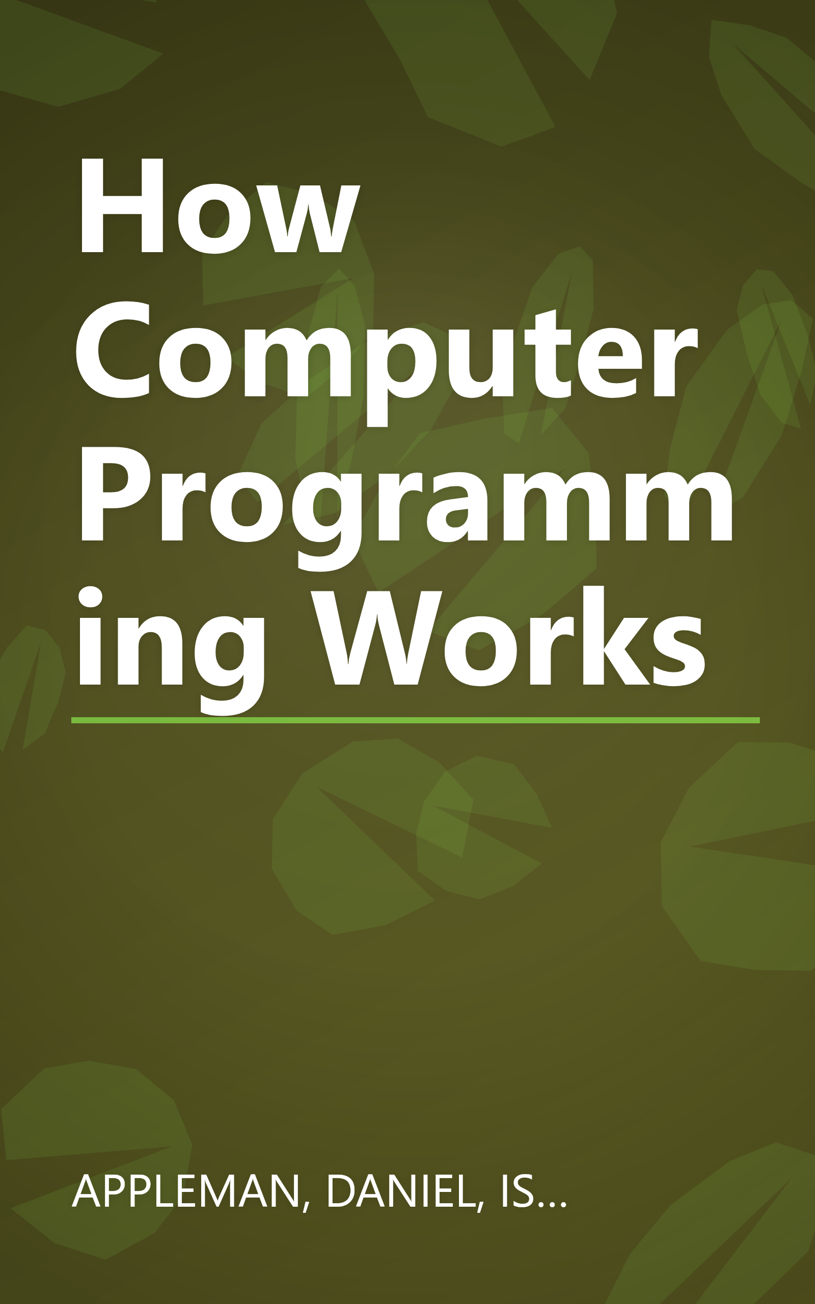How Computer Programming Works book cover