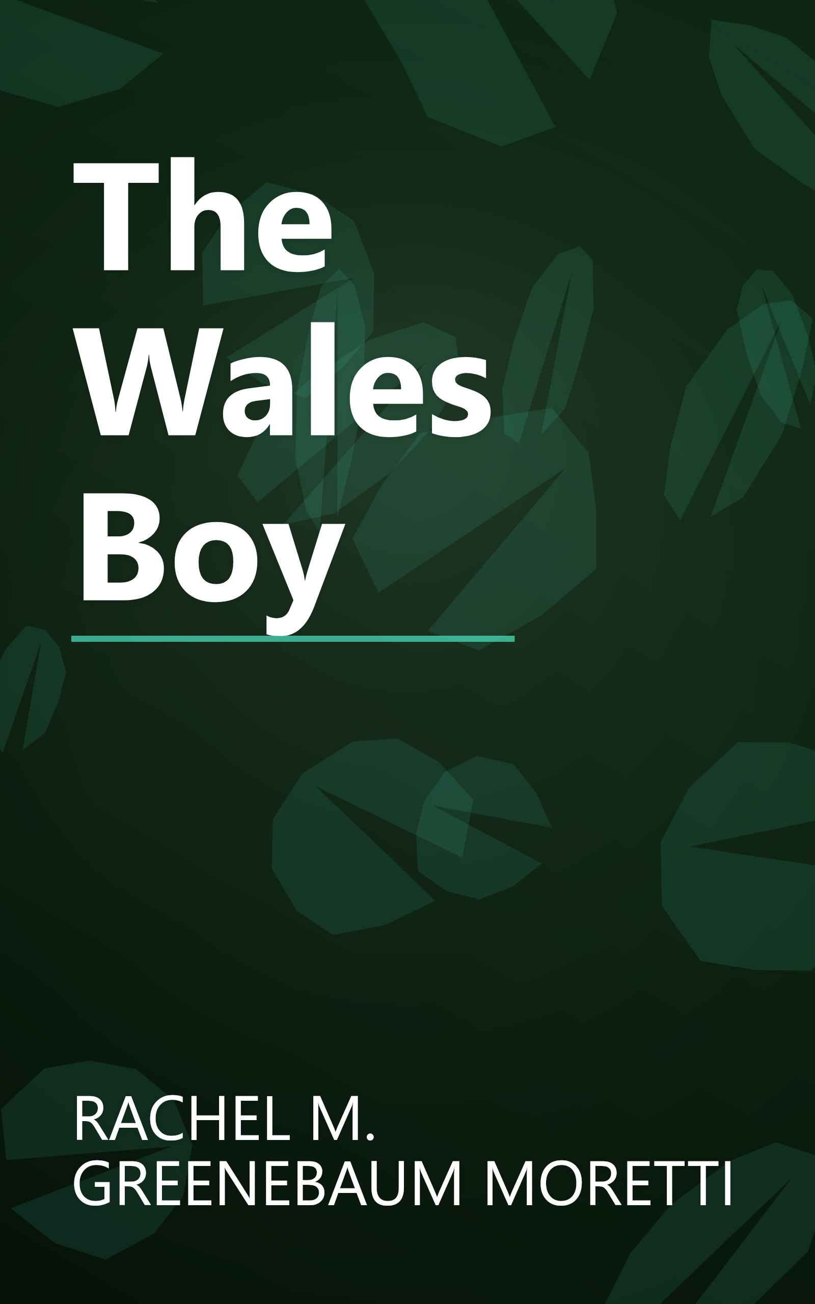 The Wales Boy book cover