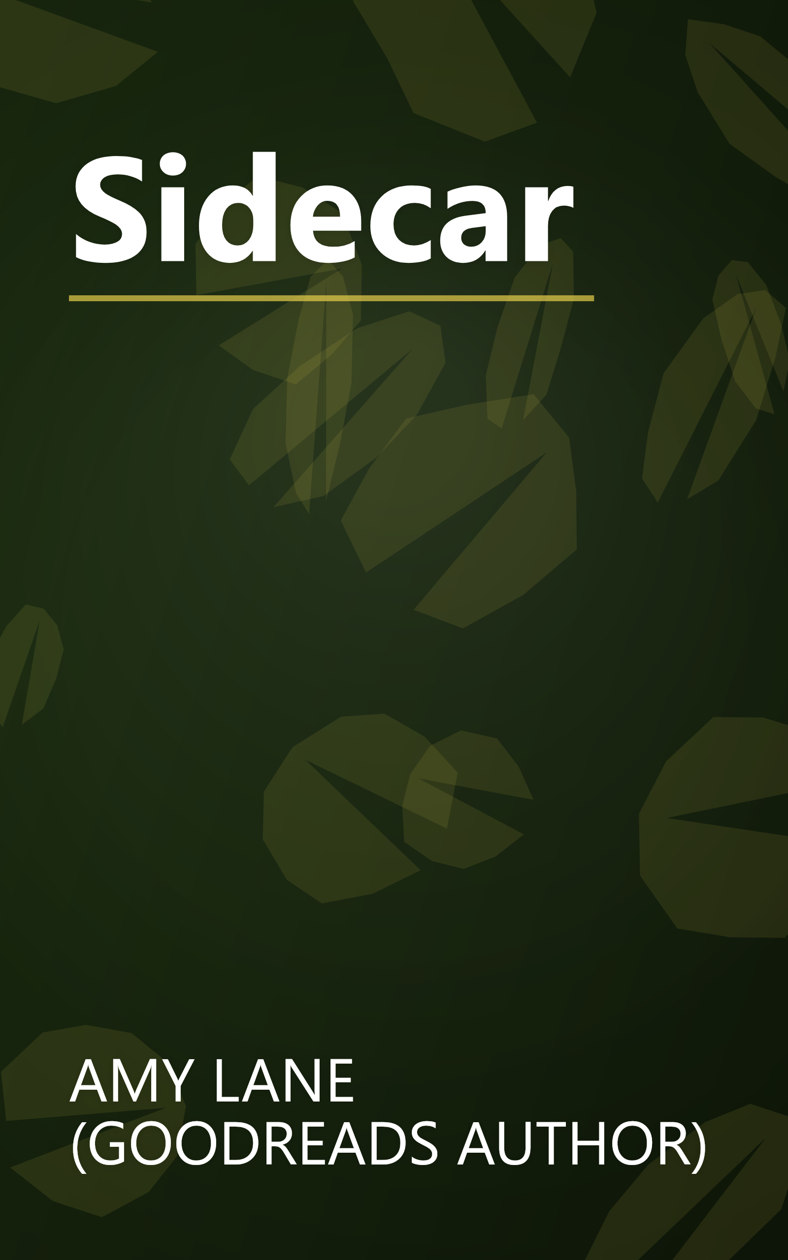 Sidecar book cover