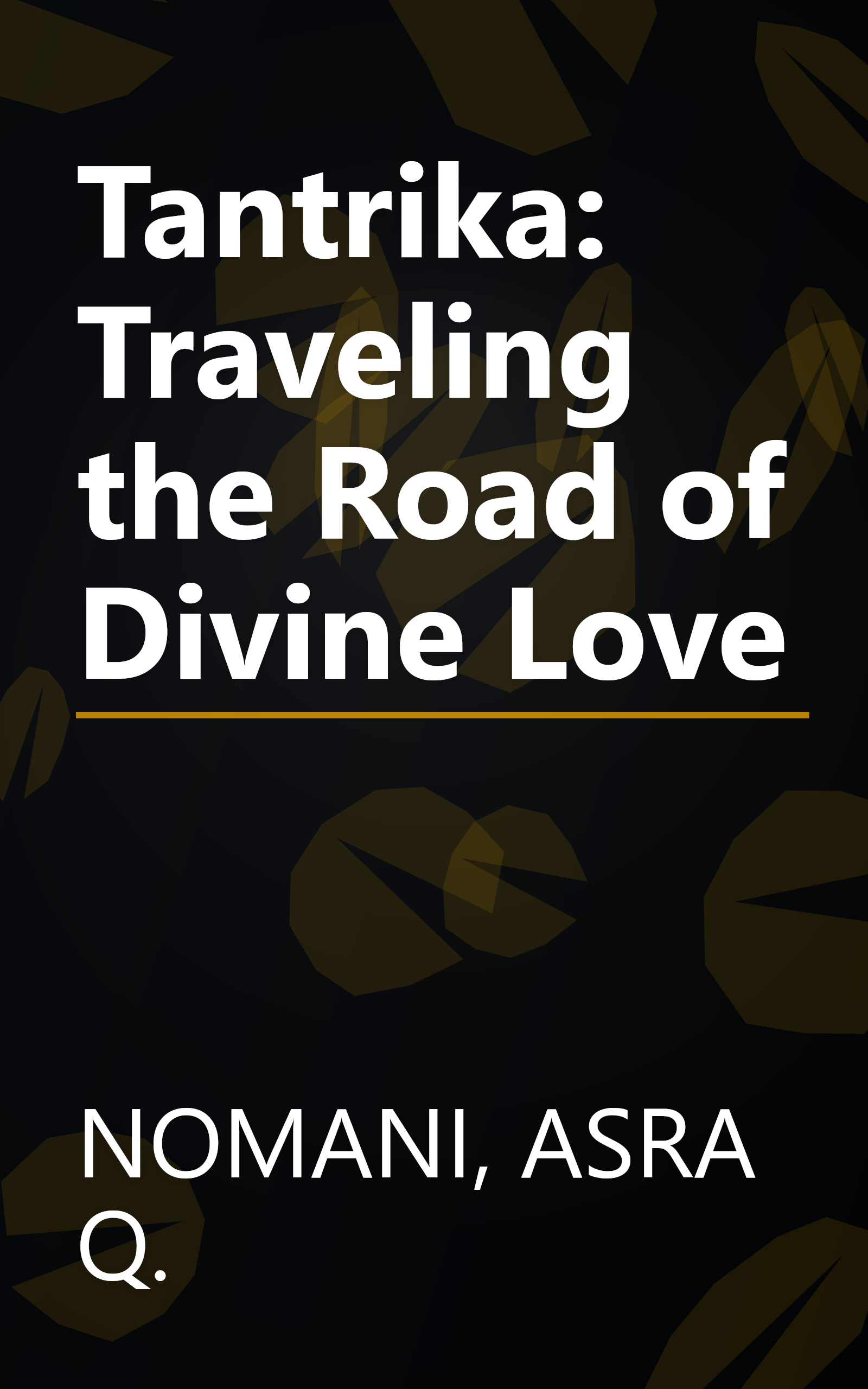 Tantrika: Traveling the Road of Divine Love book cover