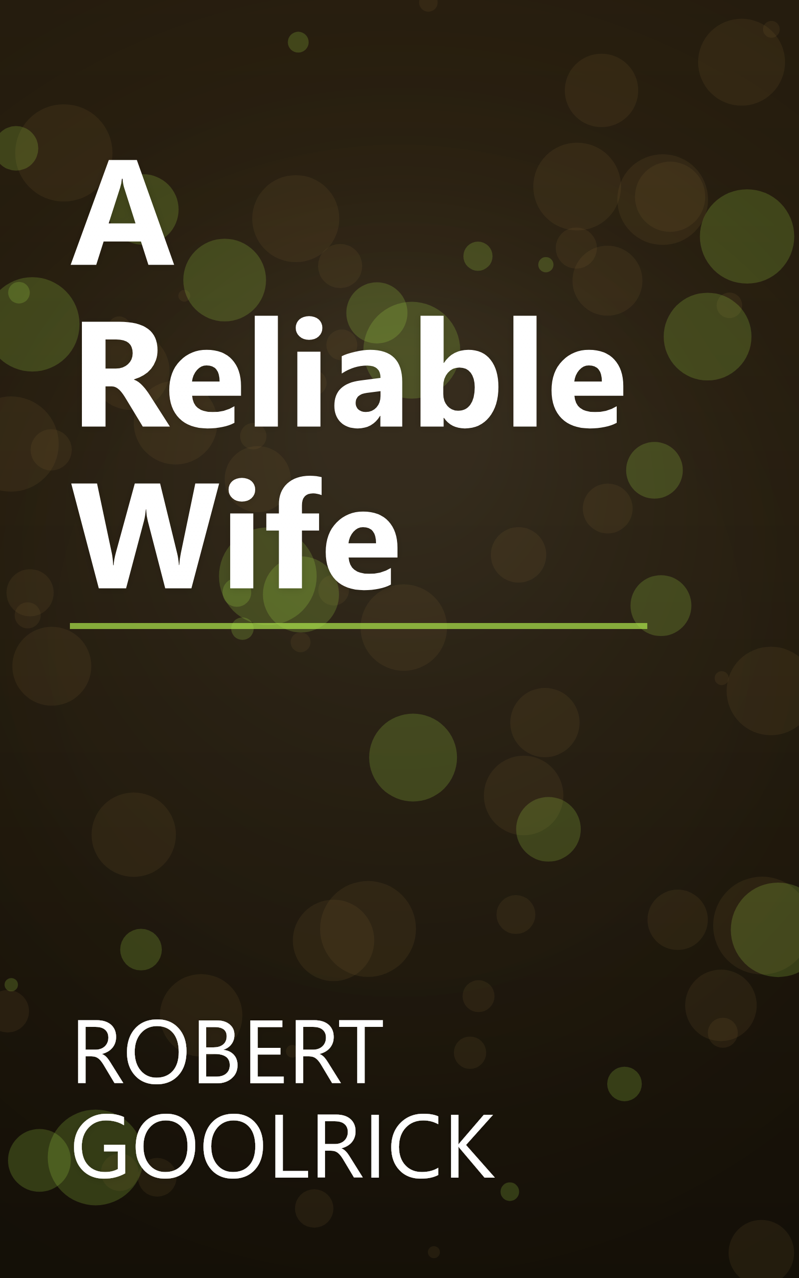 A Reliable Wife book cover