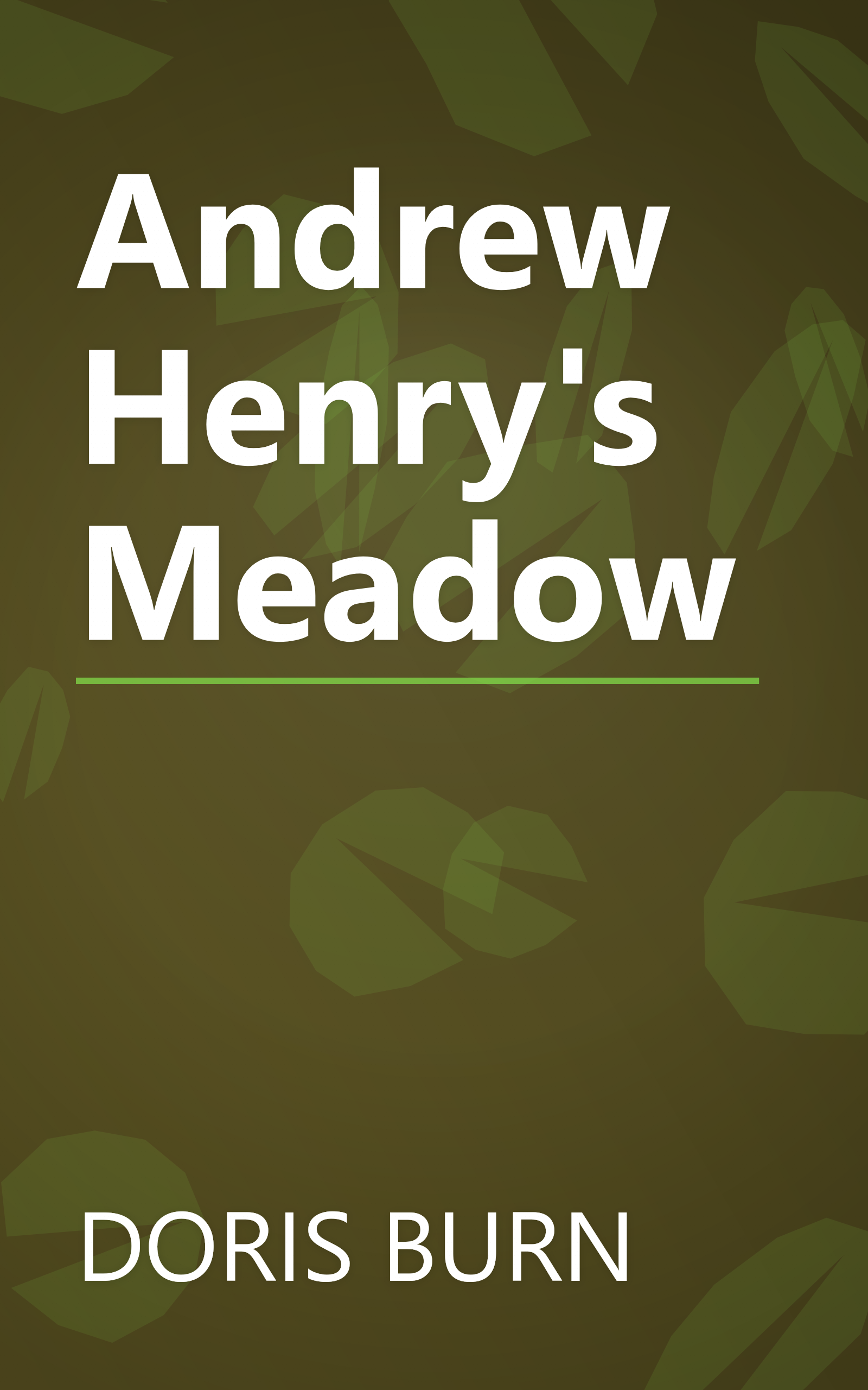 Andrew Henry's Meadow book cover