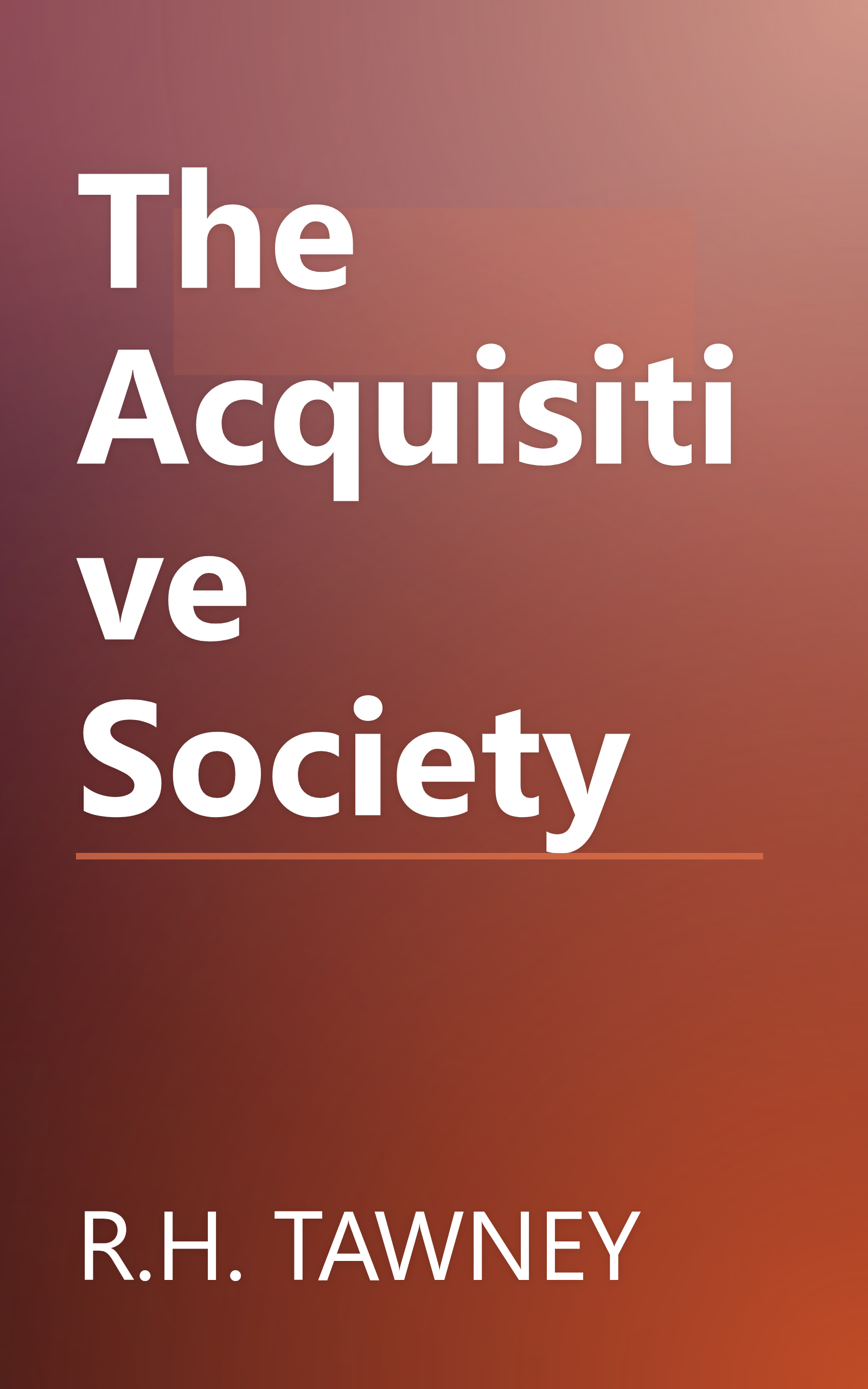 The Acquisitive Society book cover