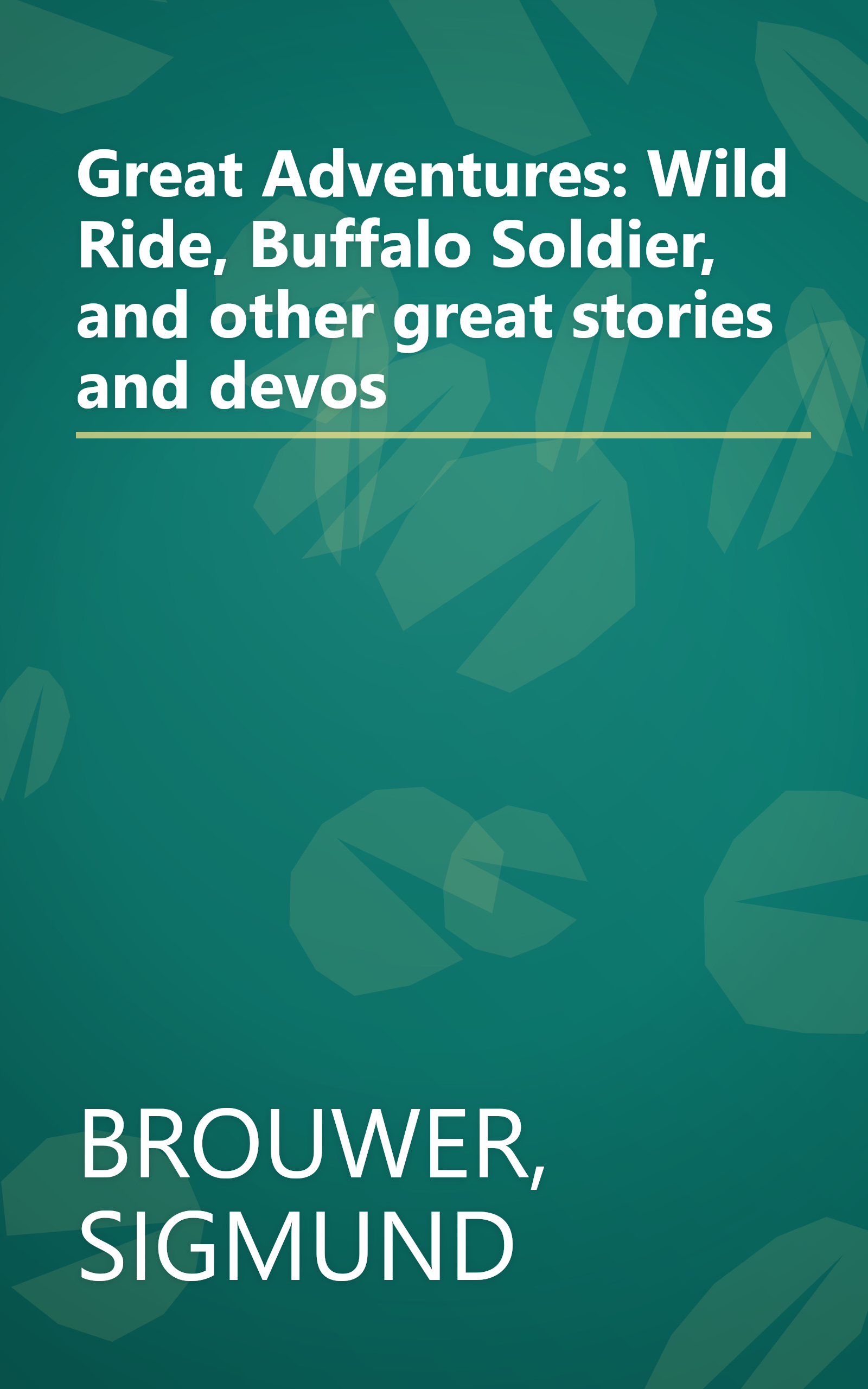 Great Adventures: Wild Ride, Buffalo Soldier, and other great stories and devos book cover
