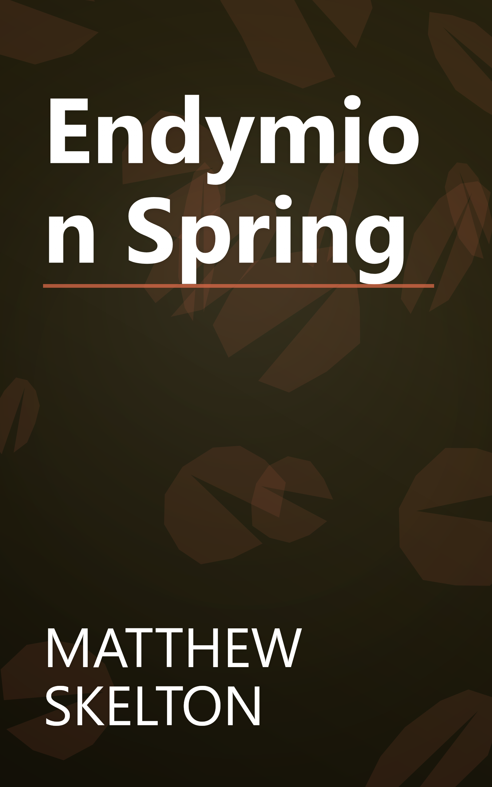 Endymion Spring book cover