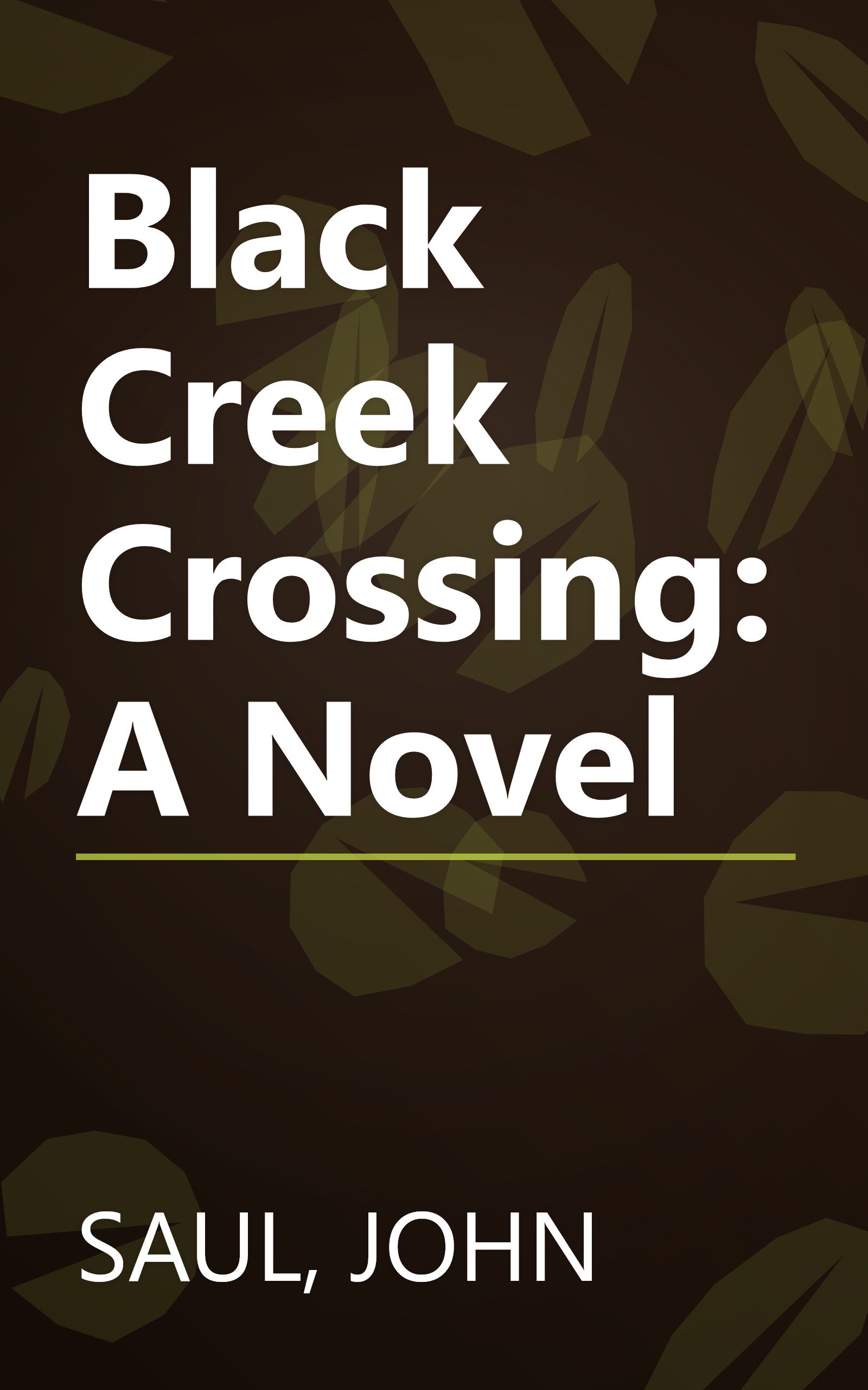 Black Creek Crossing: A Novel book cover