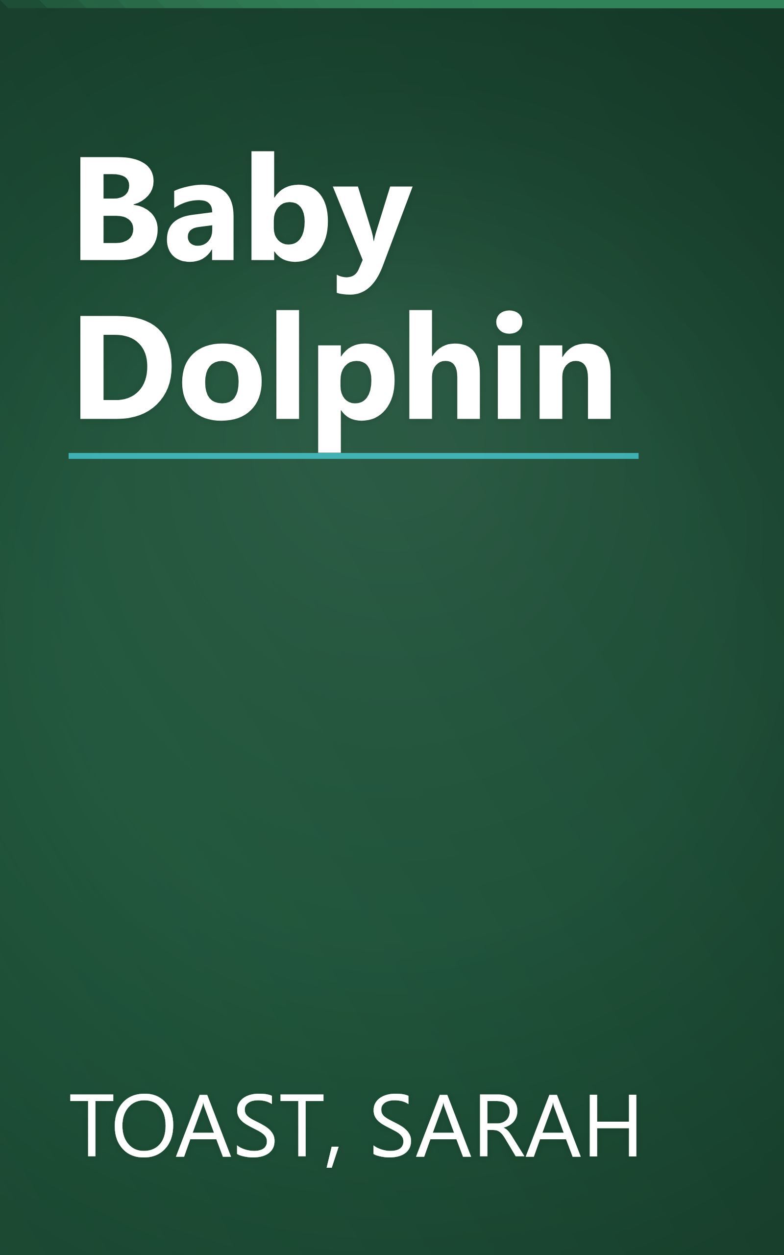 Baby Dolphin book cover
