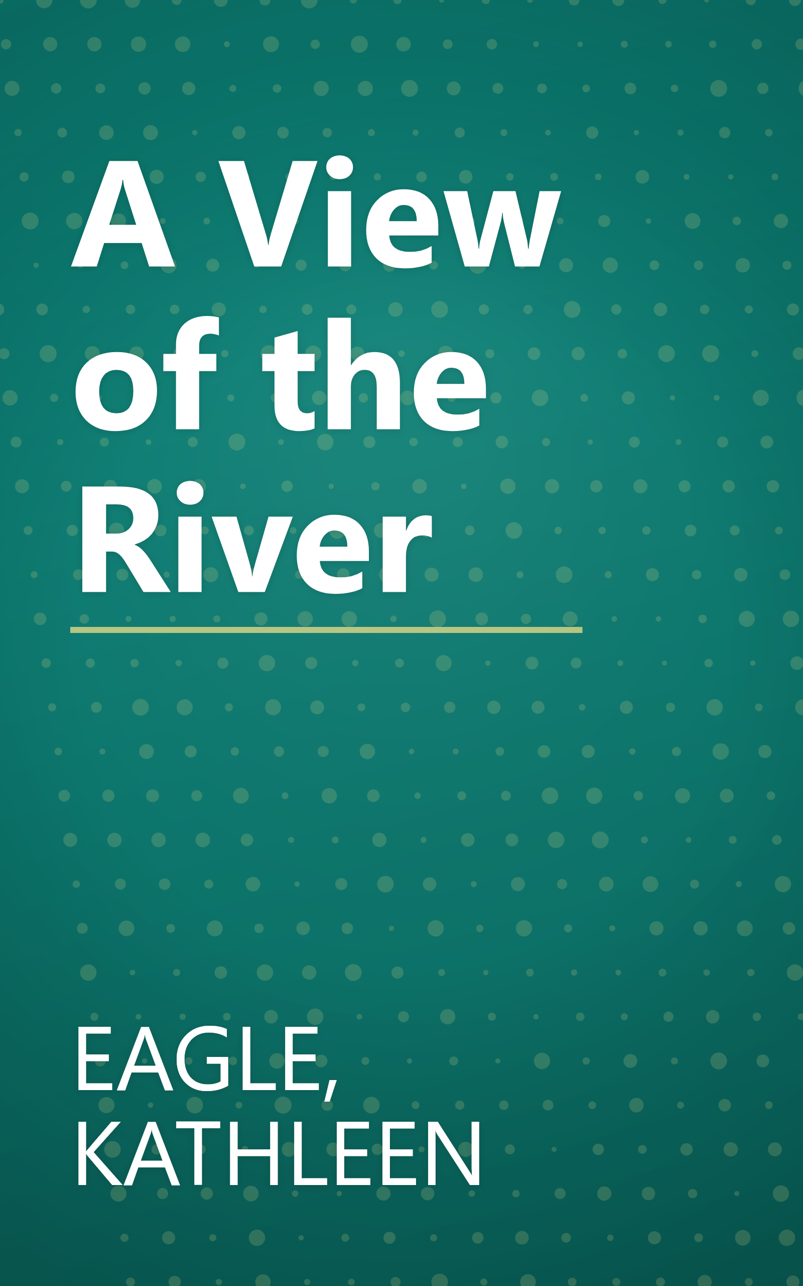 A View of the River book cover