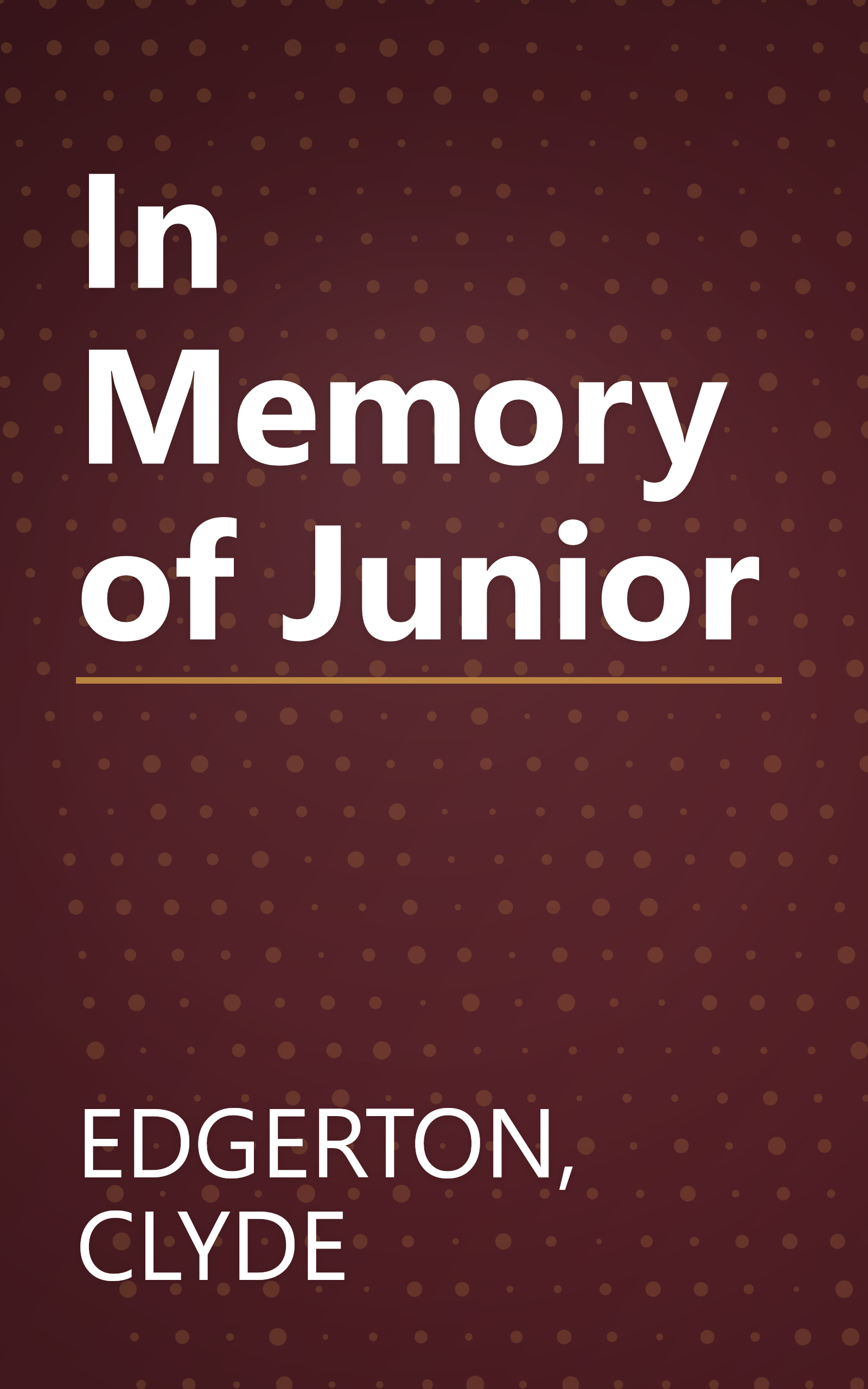 In Memory of Junior book cover