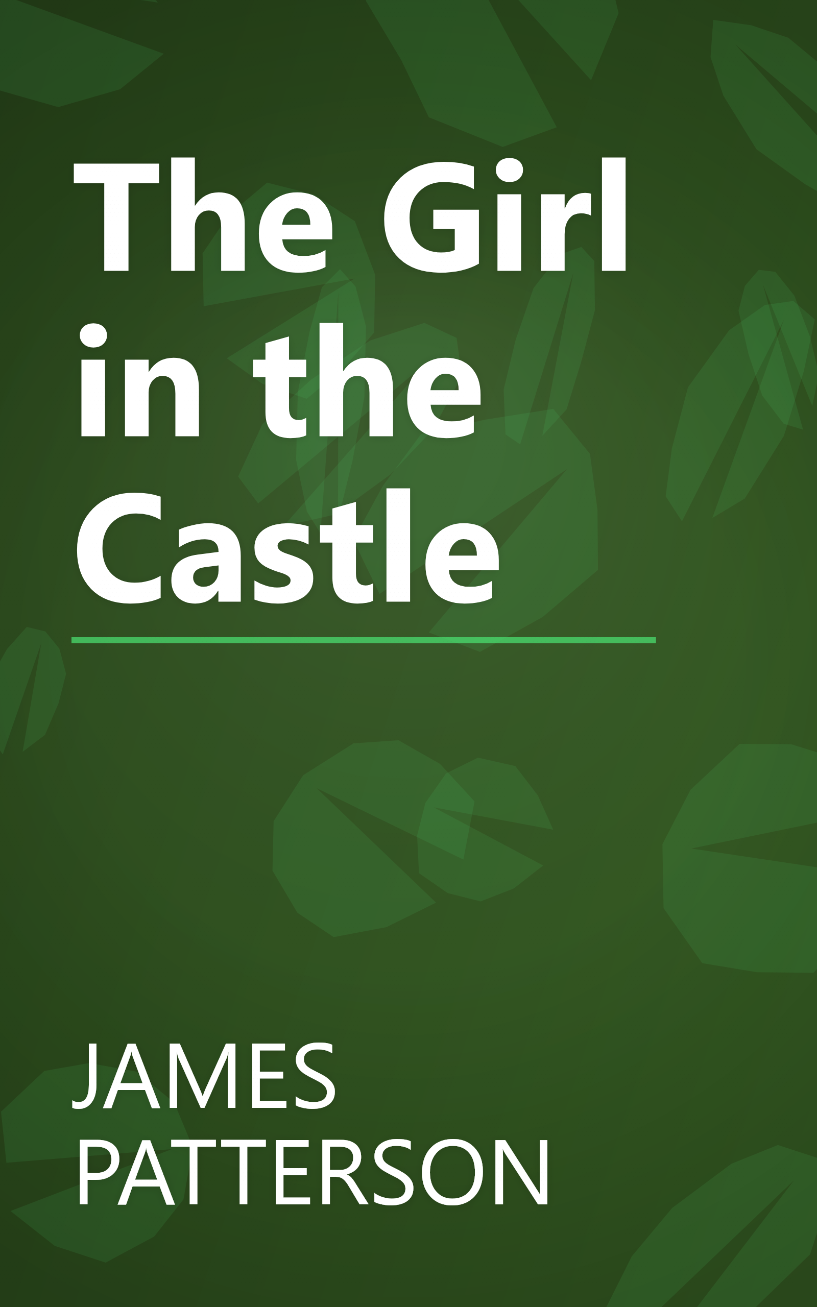The Girl in the Castle book cover
