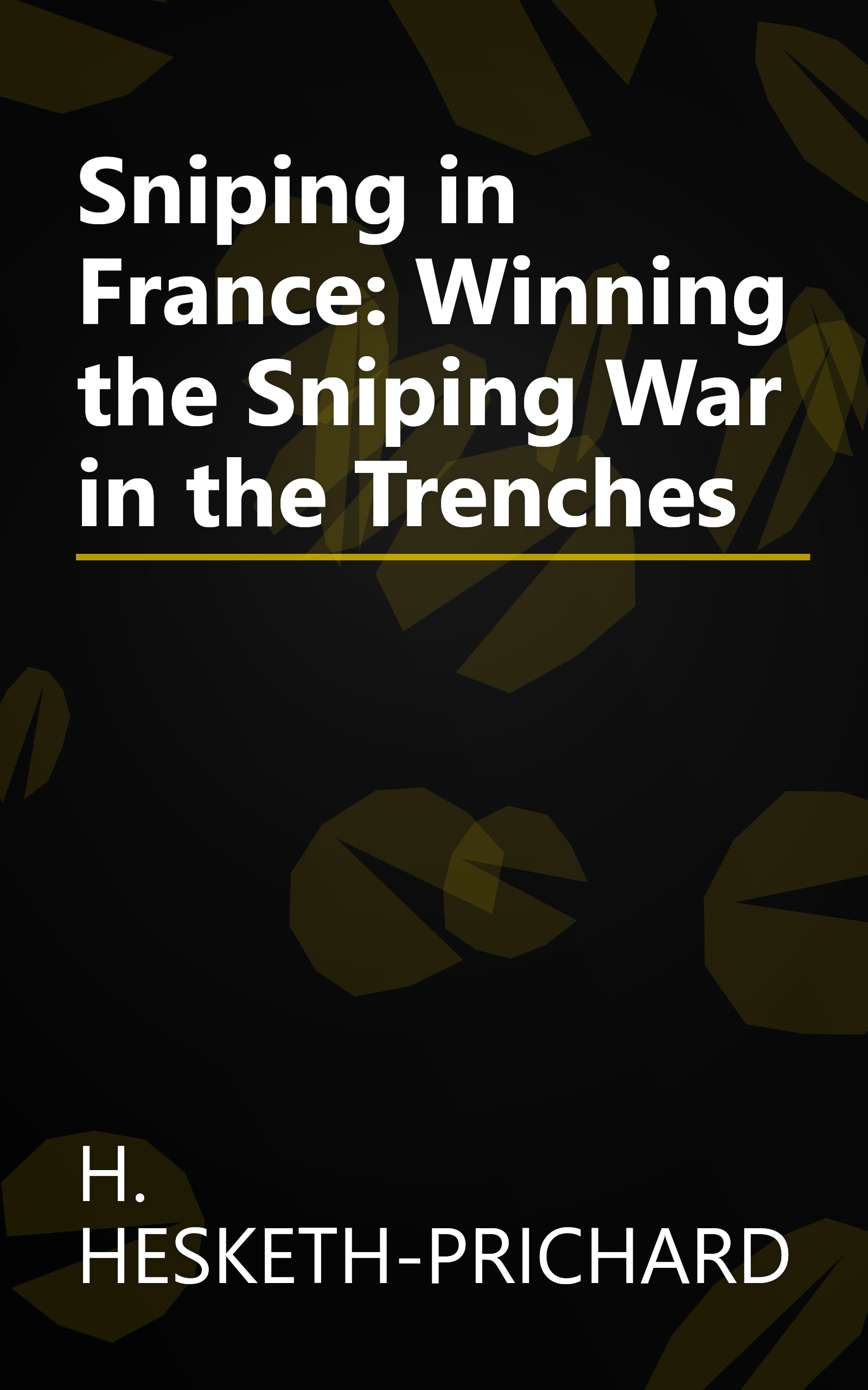 Sniping in France: Winning the Sniping War in the Trenches book cover