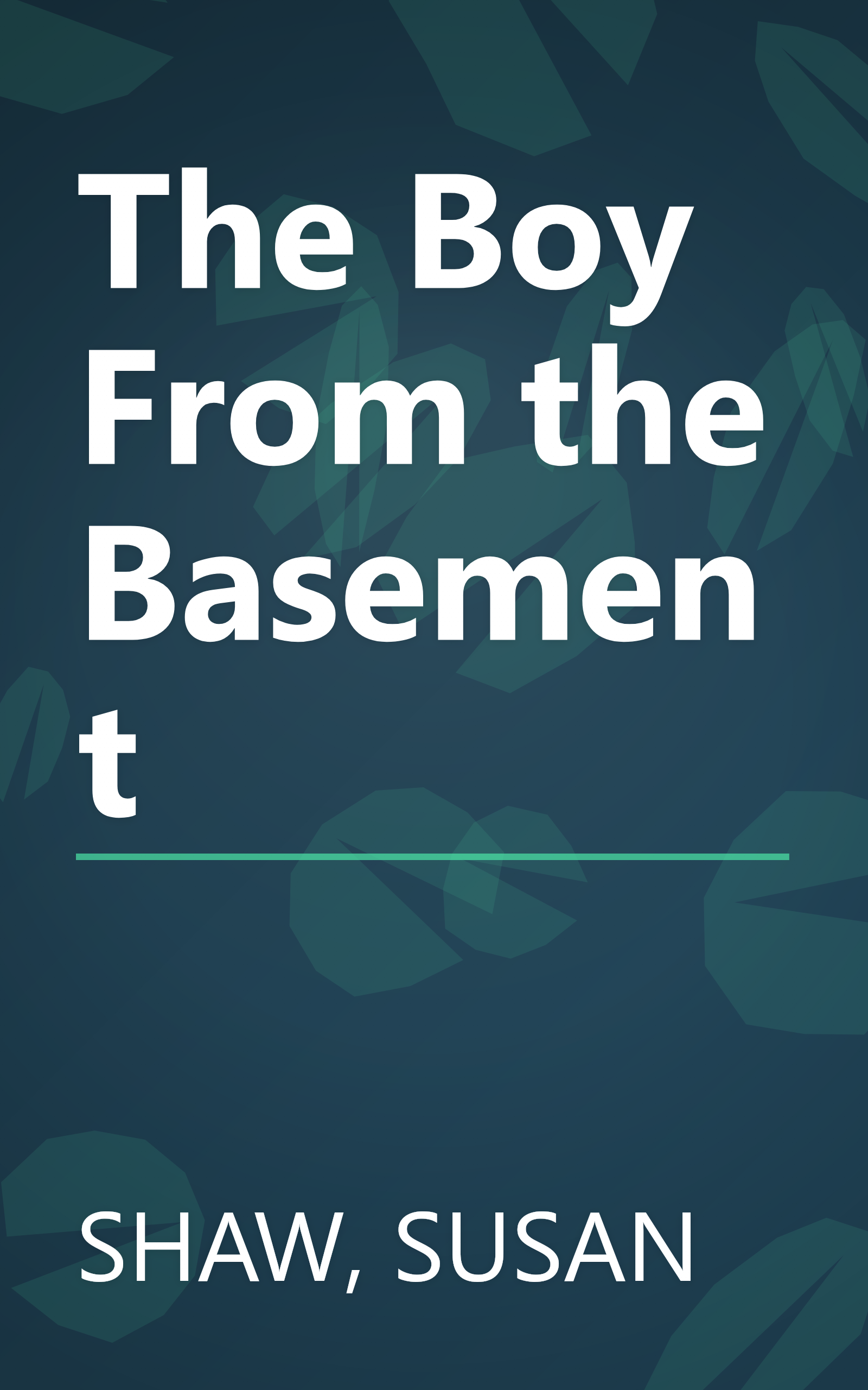 The Boy From the Basement book cover