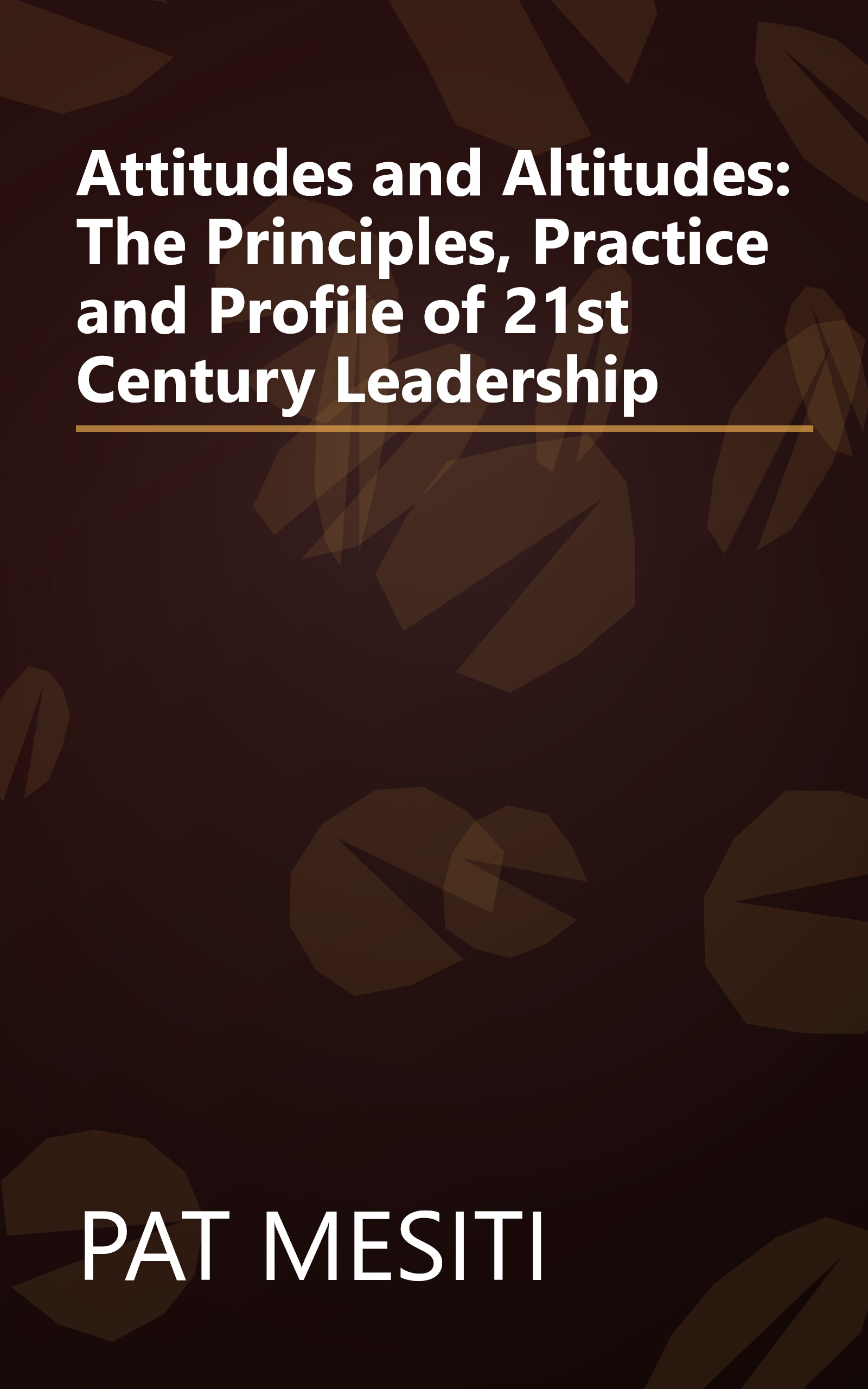 Attitudes and Altitudes: The Principles, Practice and Profile of 21st Century Leadership book cover