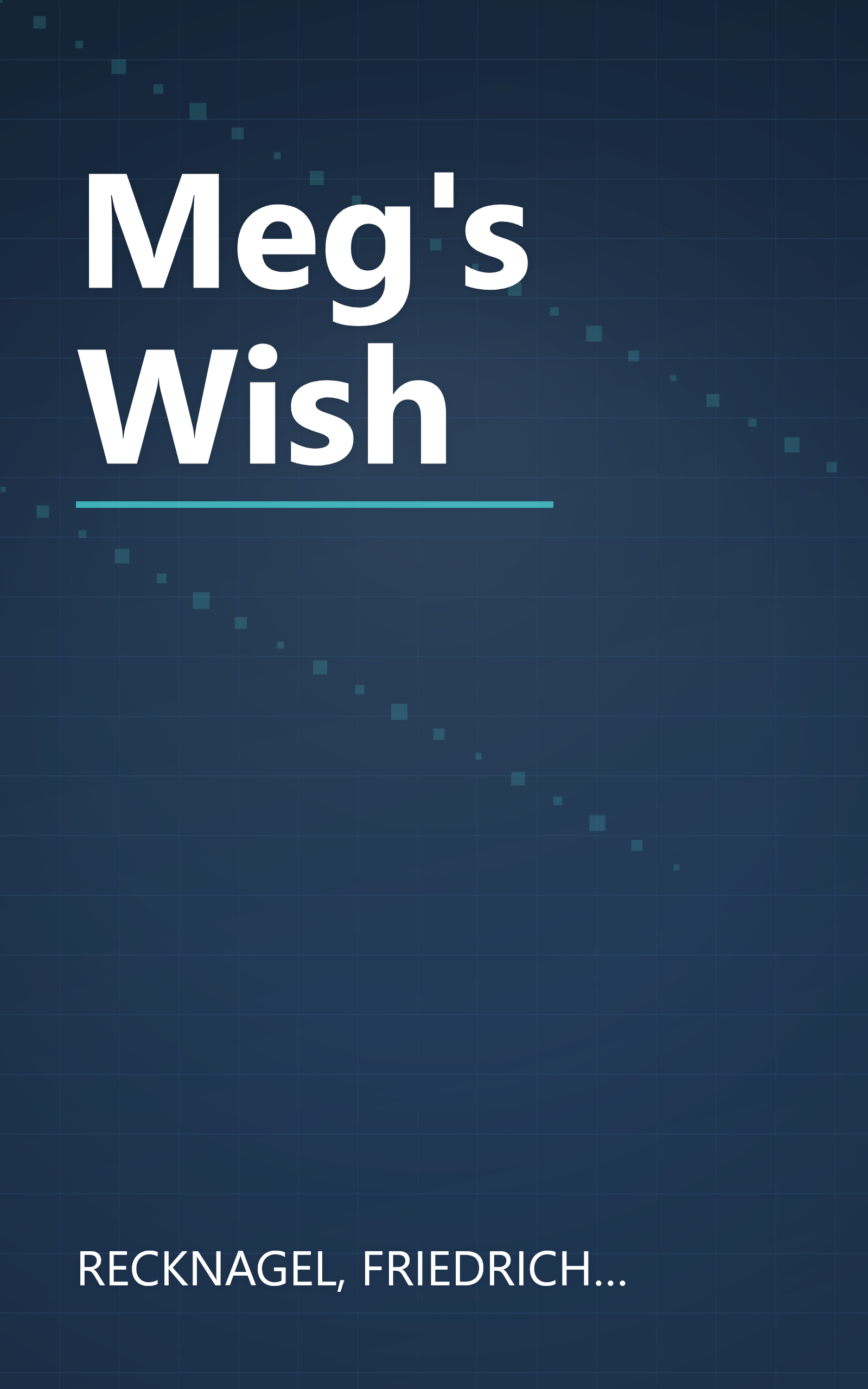Meg's Wish book cover