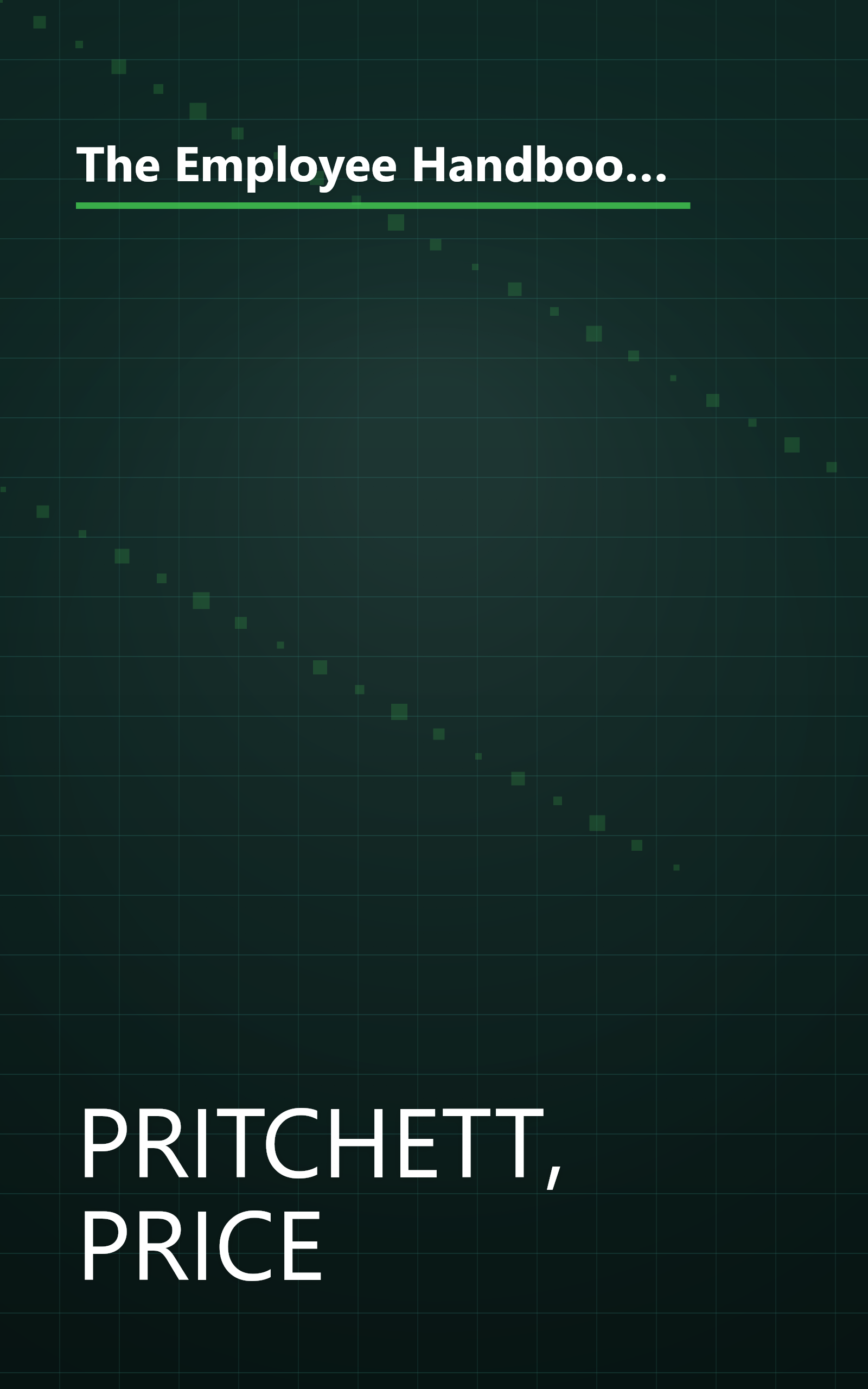 The Employee Handbook of New Work Habits for a Radically Changing World: 13 Ground Rules for Job Success in the Information Age book cover