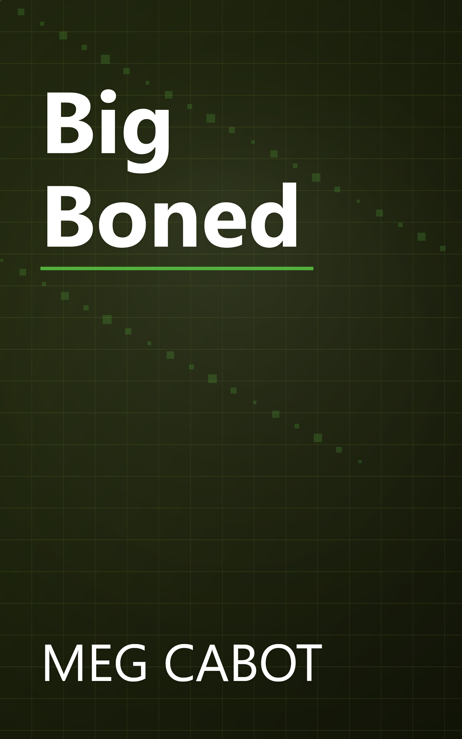 Big Boned book cover
