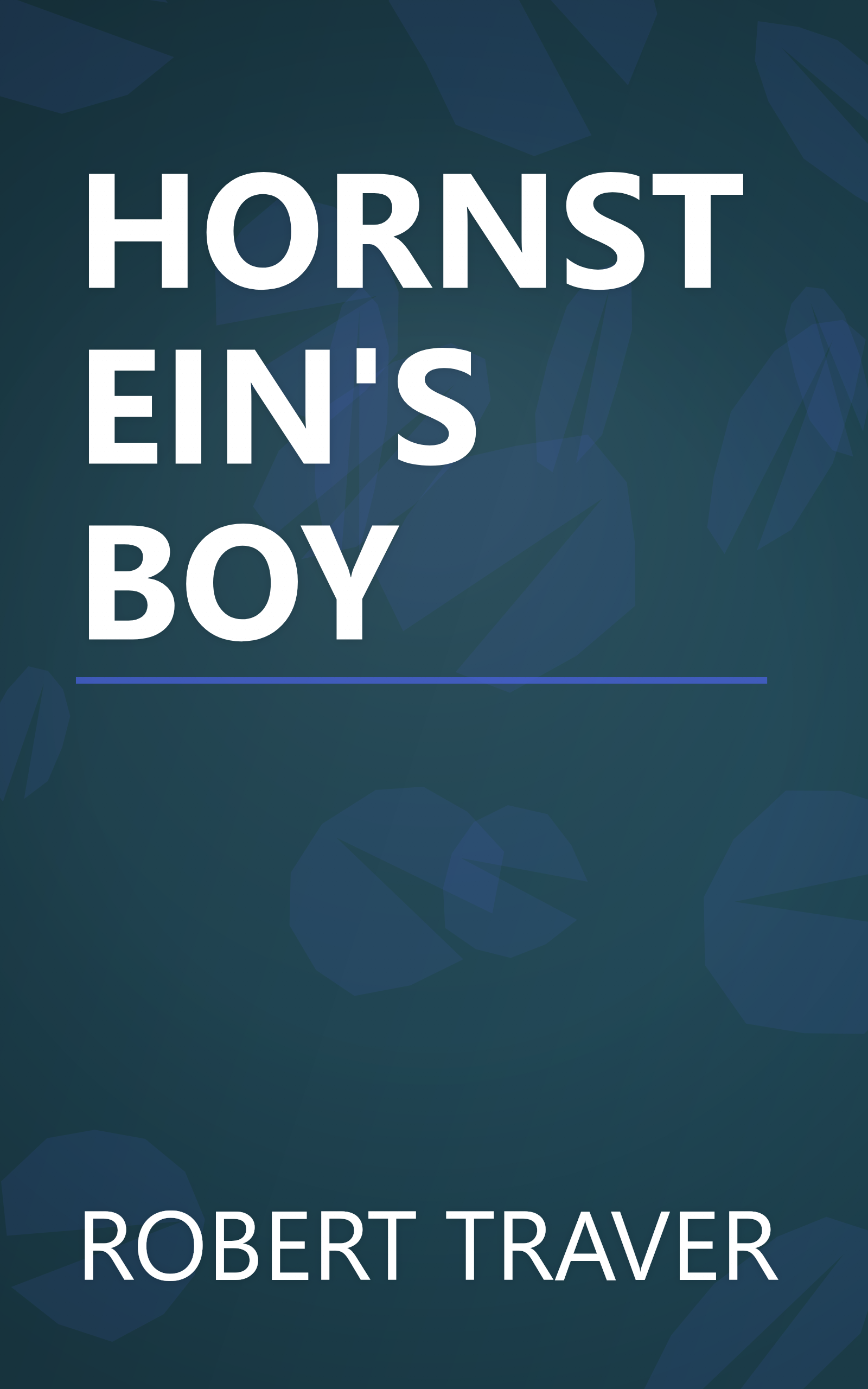 HORNSTEIN'S BOY book cover