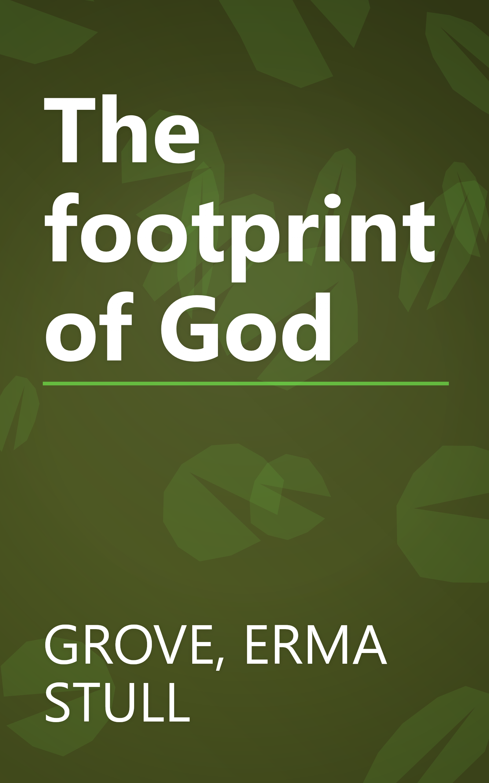 The footprint of God book cover