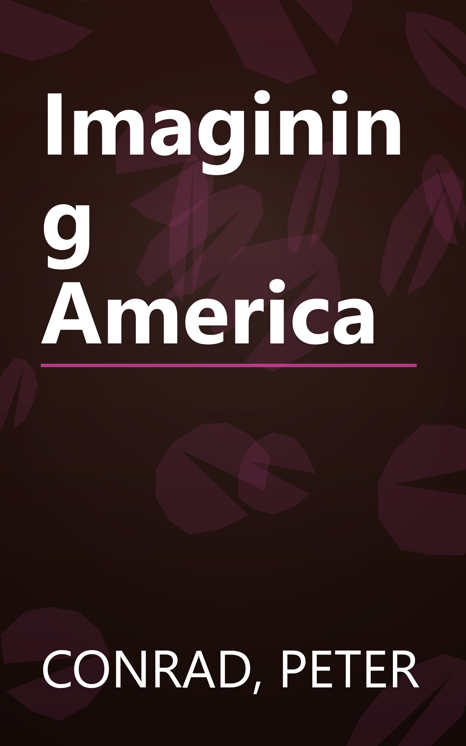 Imagining America book cover