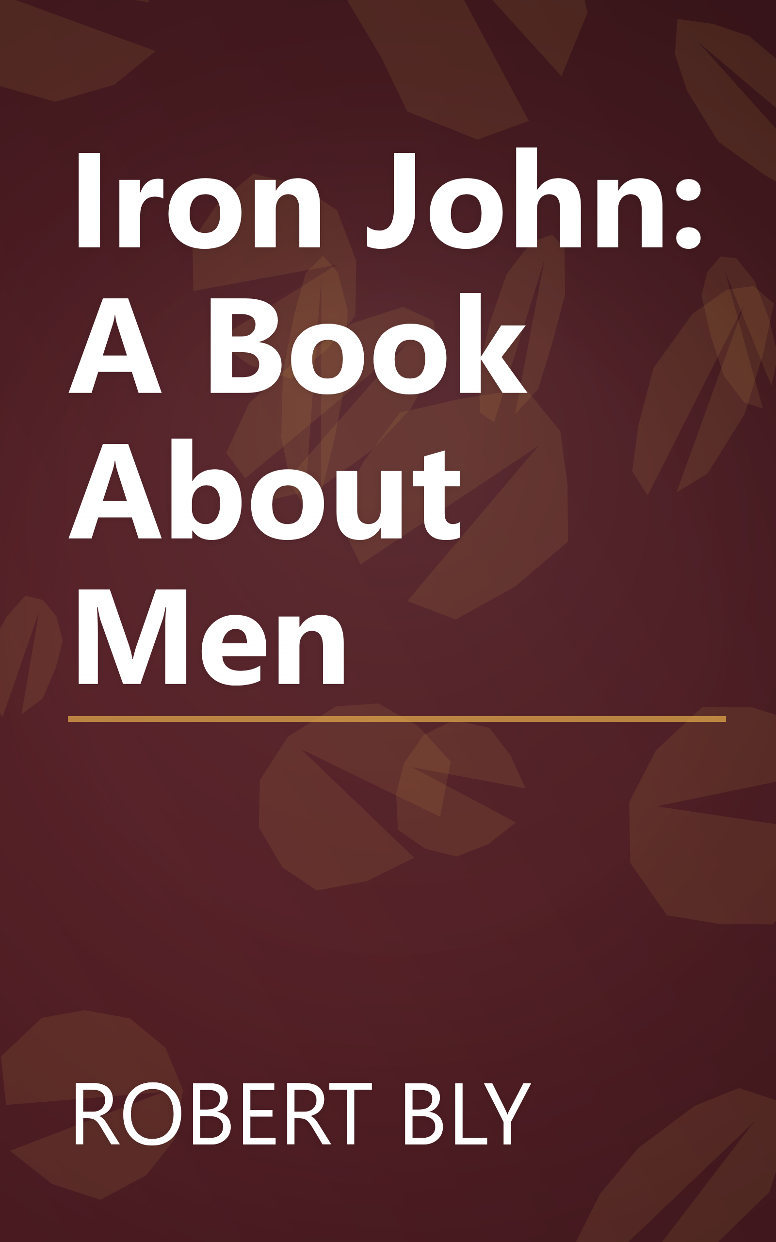 Iron John: A Book About Men book cover
