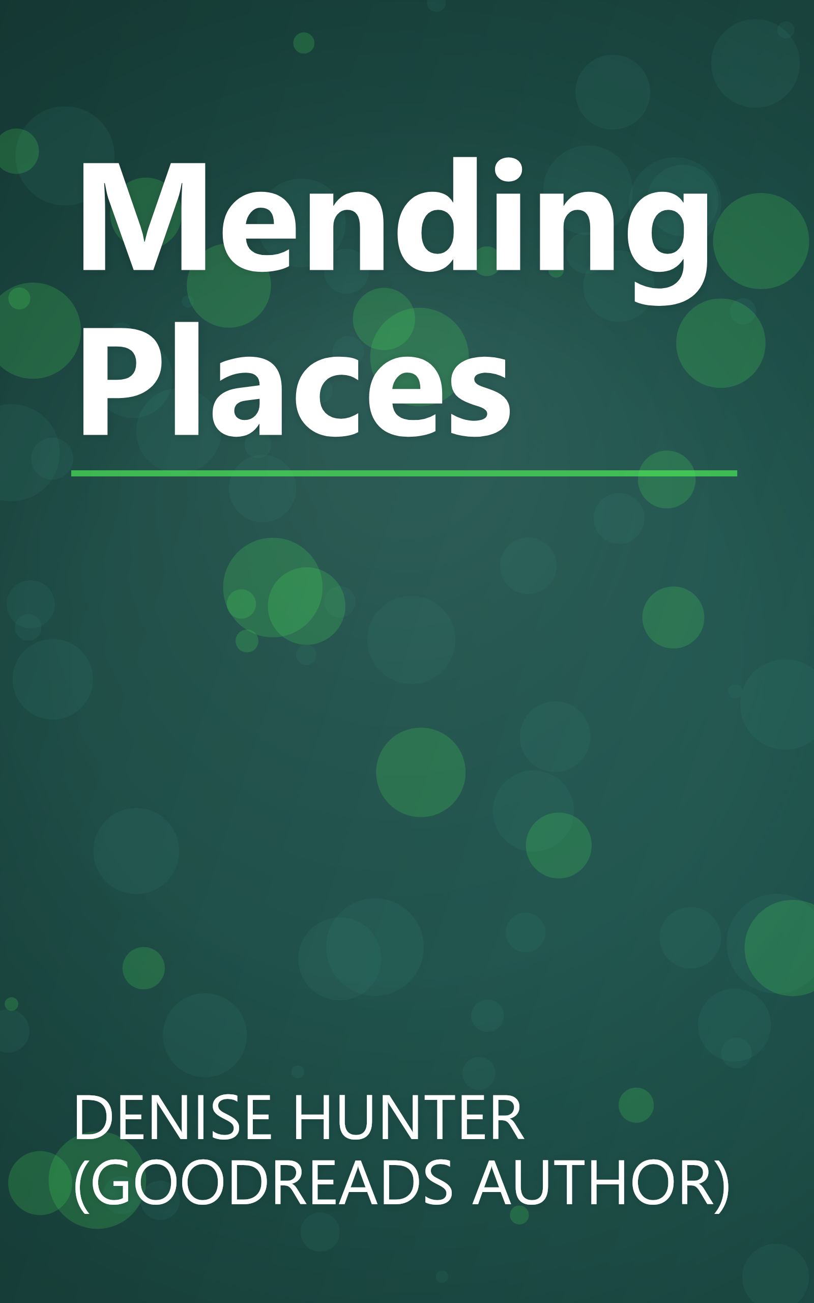 Mending Places book cover