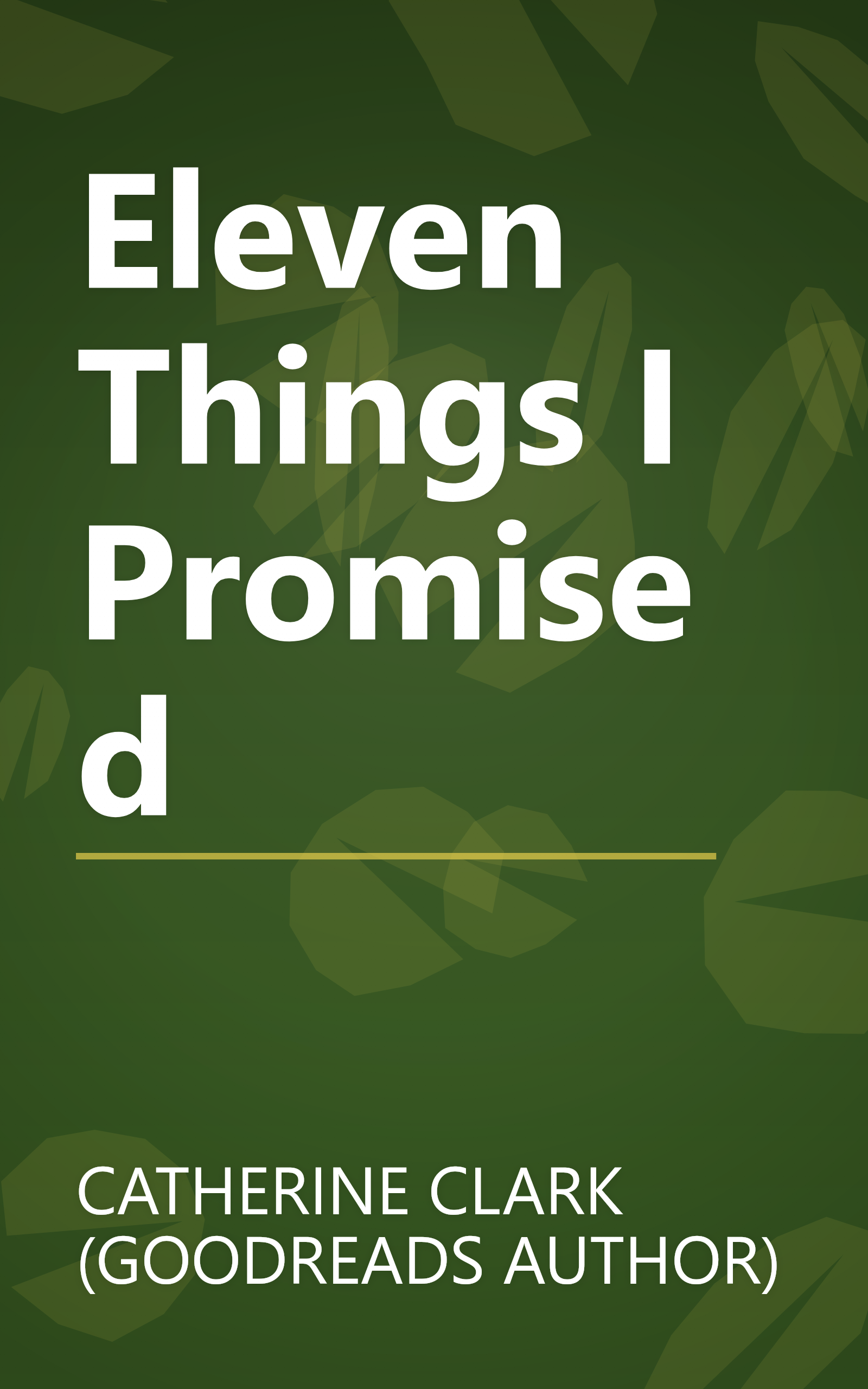 Eleven Things I Promised book cover