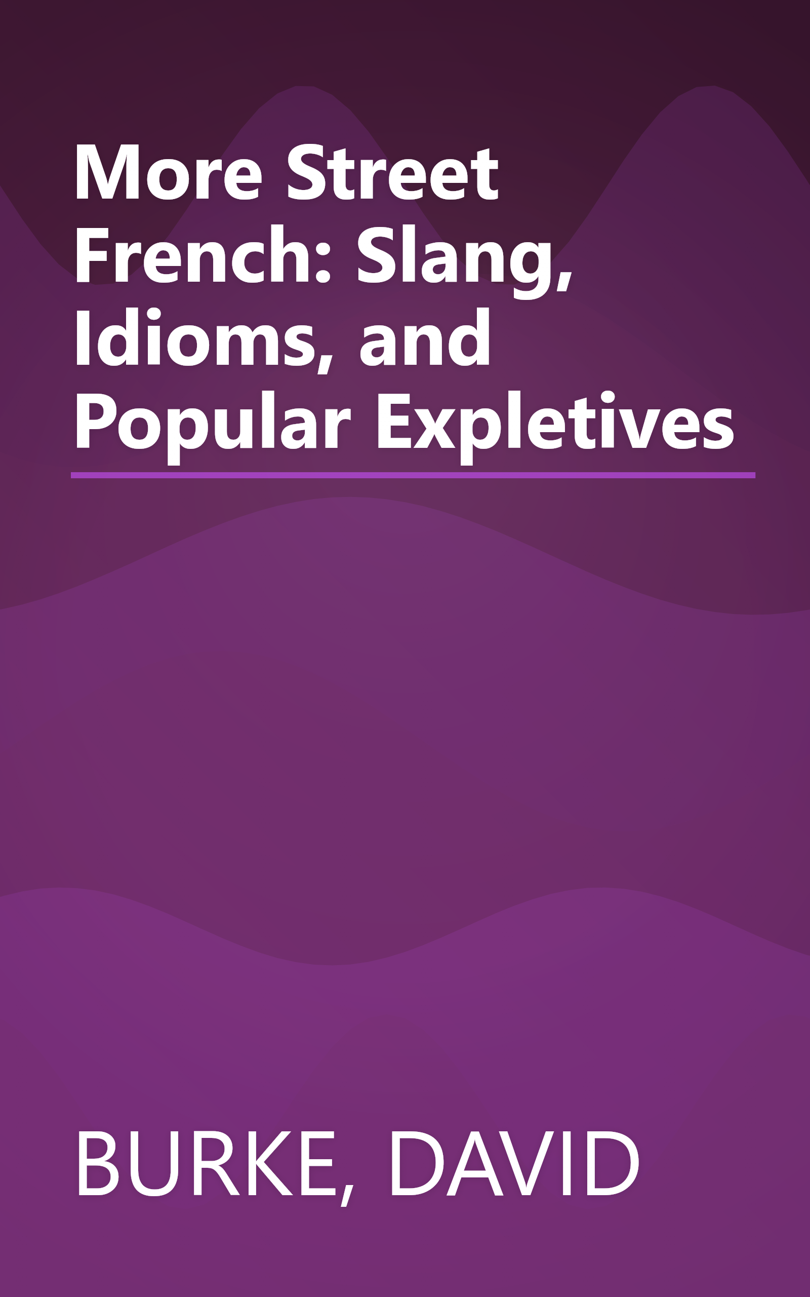 More Street French: Slang, Idioms, and Popular Expletives book cover