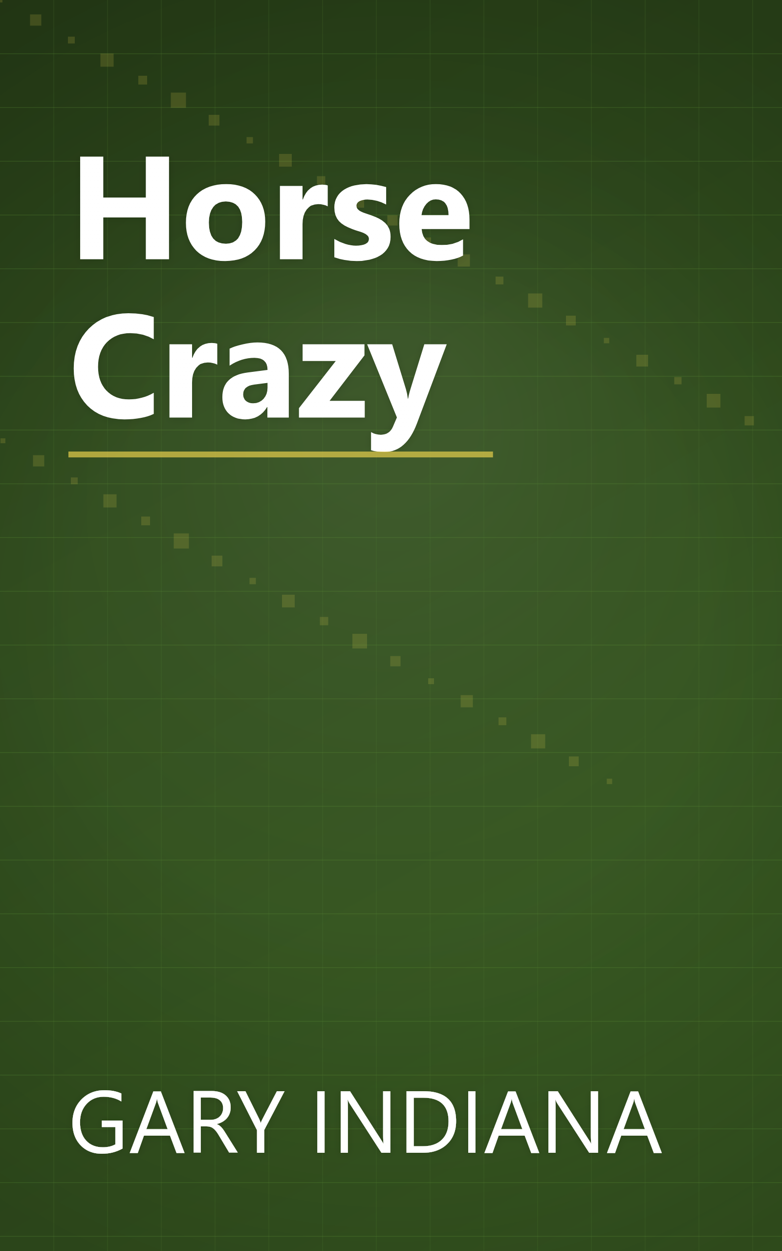 Horse Crazy book cover