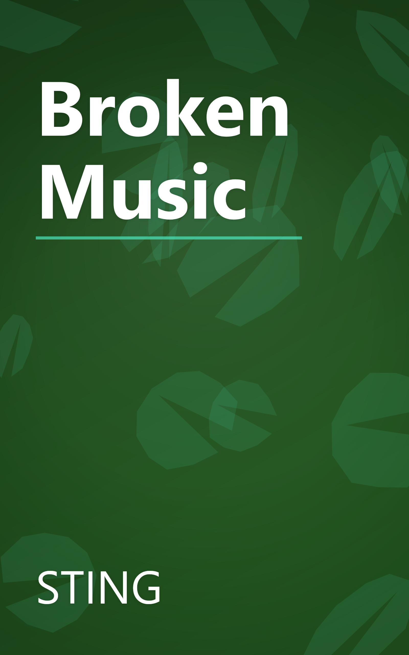 Broken Music book cover