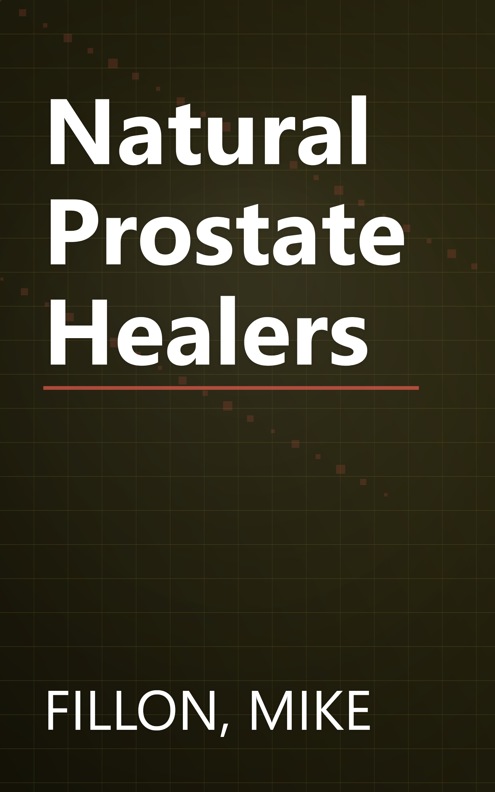 Natural Prostate Healers book cover