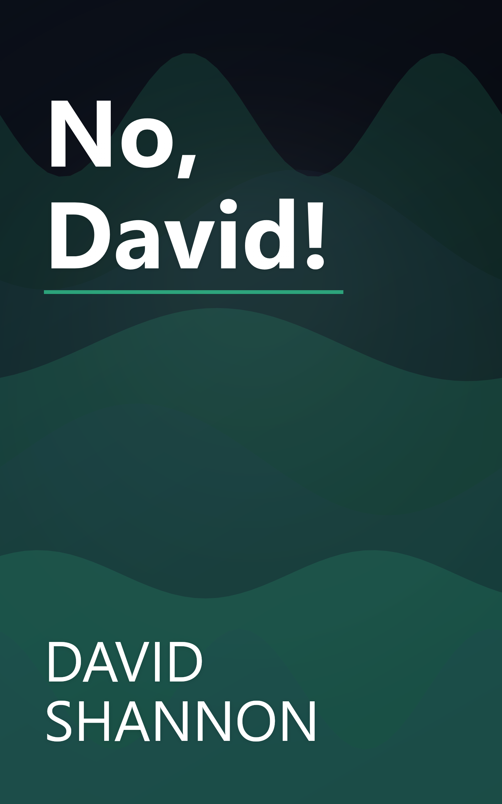 No, David! book cover