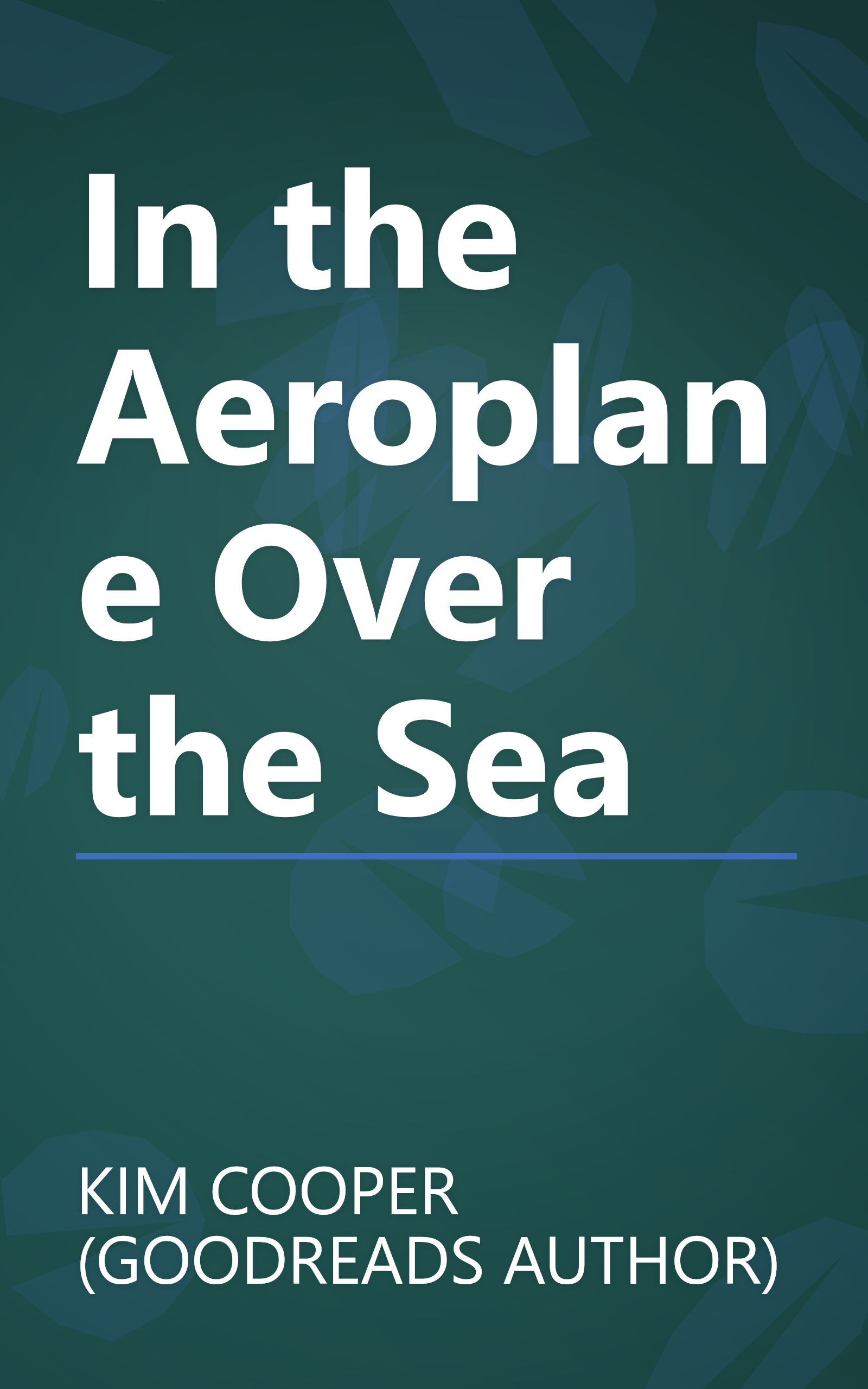 In the Aeroplane Over the Sea book cover
