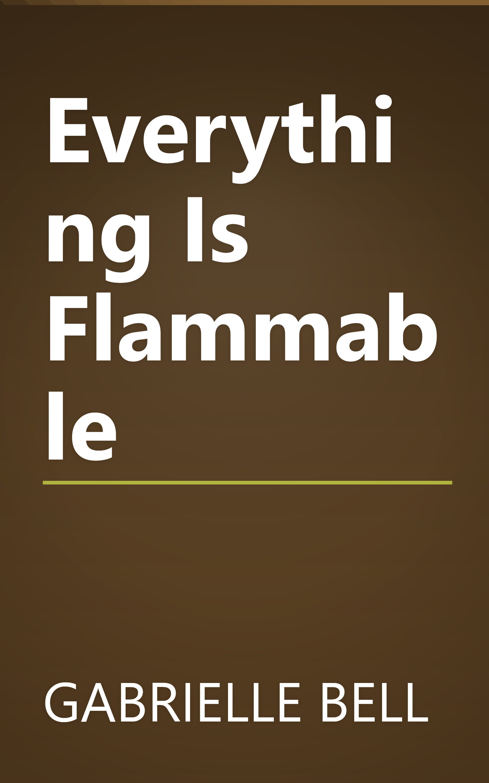 Everything Is Flammable book cover