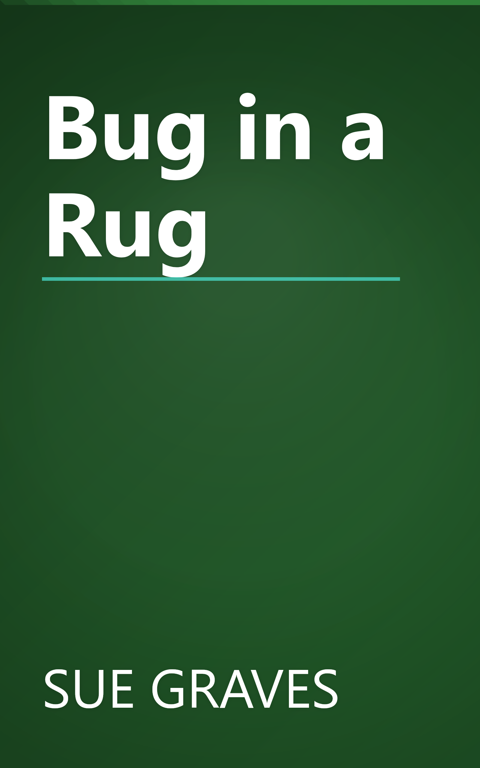 Bug in a Rug book cover