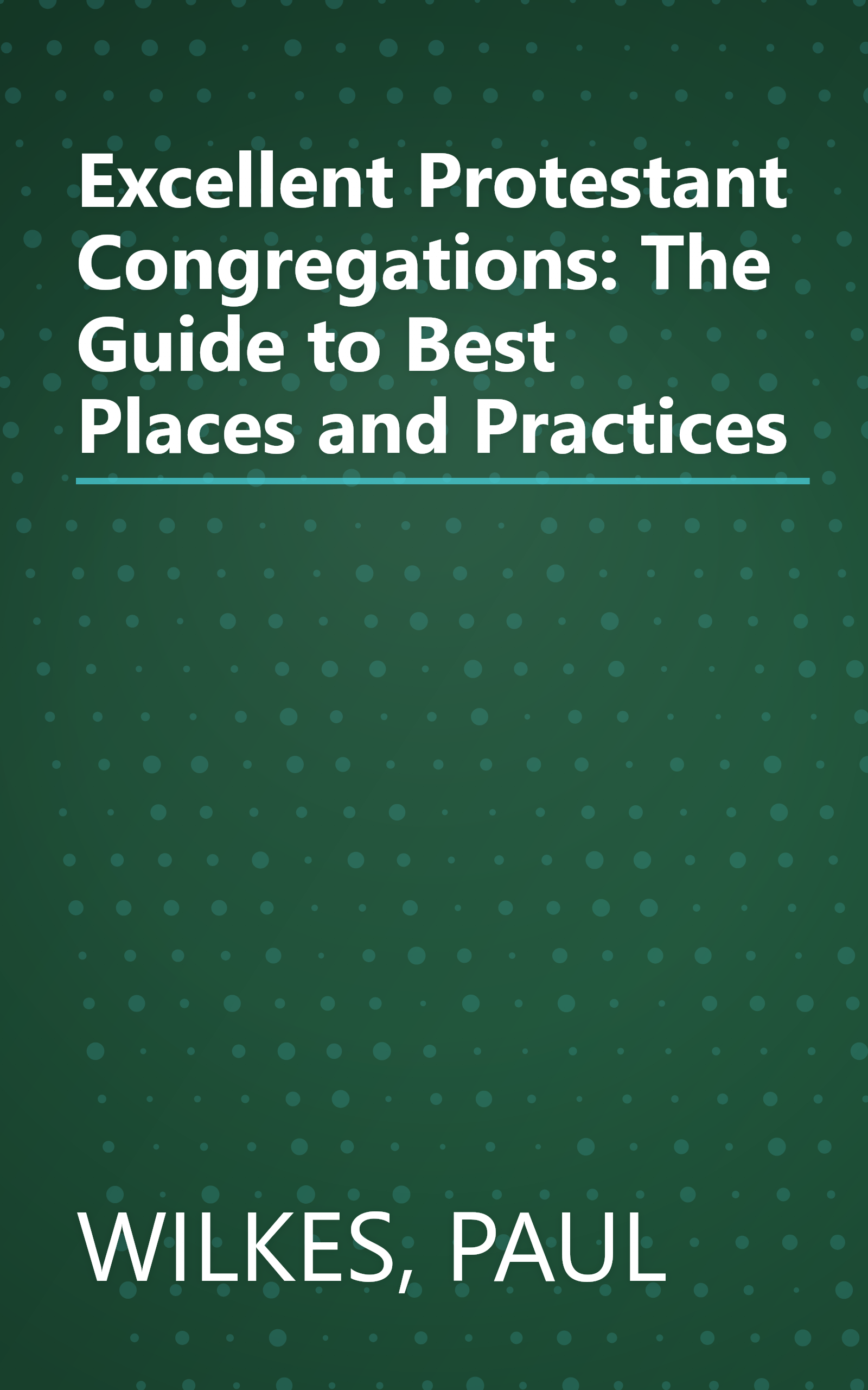 Excellent Protestant Congregations: The Guide to Best Places and Practices book cover
