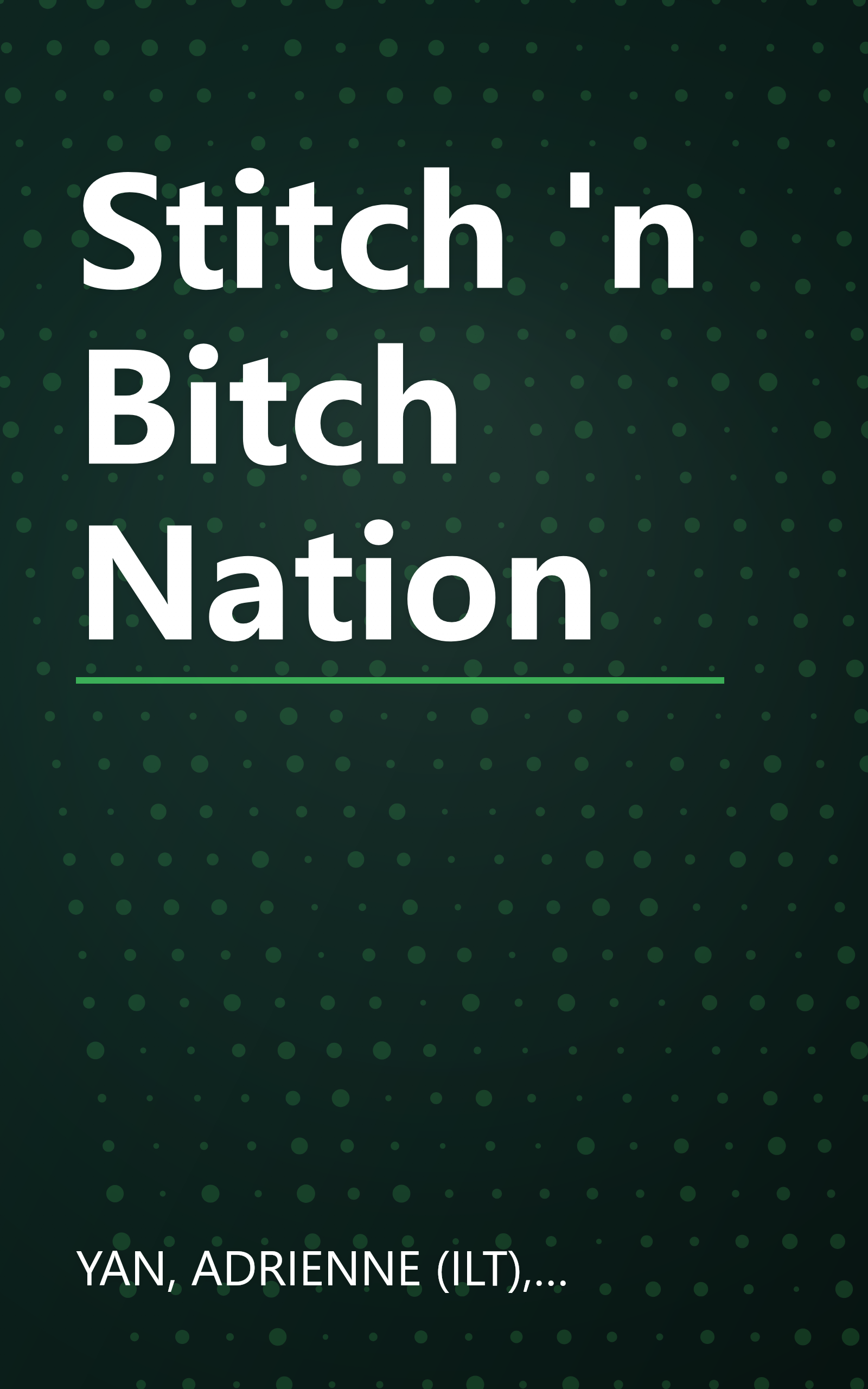 Stitch 'n Bitch Nation book cover